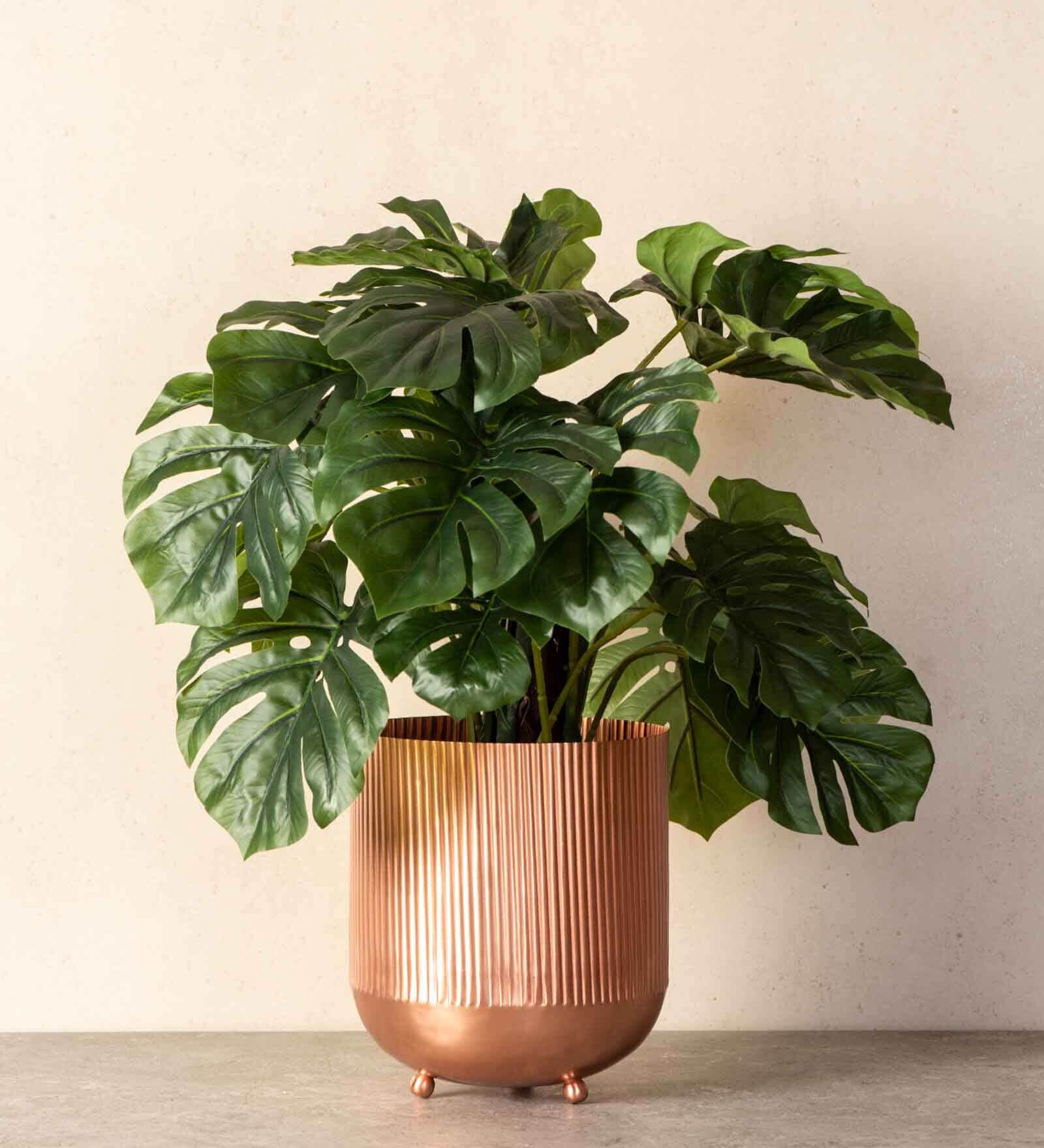 Buy Rose Gold Ripple Cut Brass Planter at 24% OFF by The Decor Remedy ...
