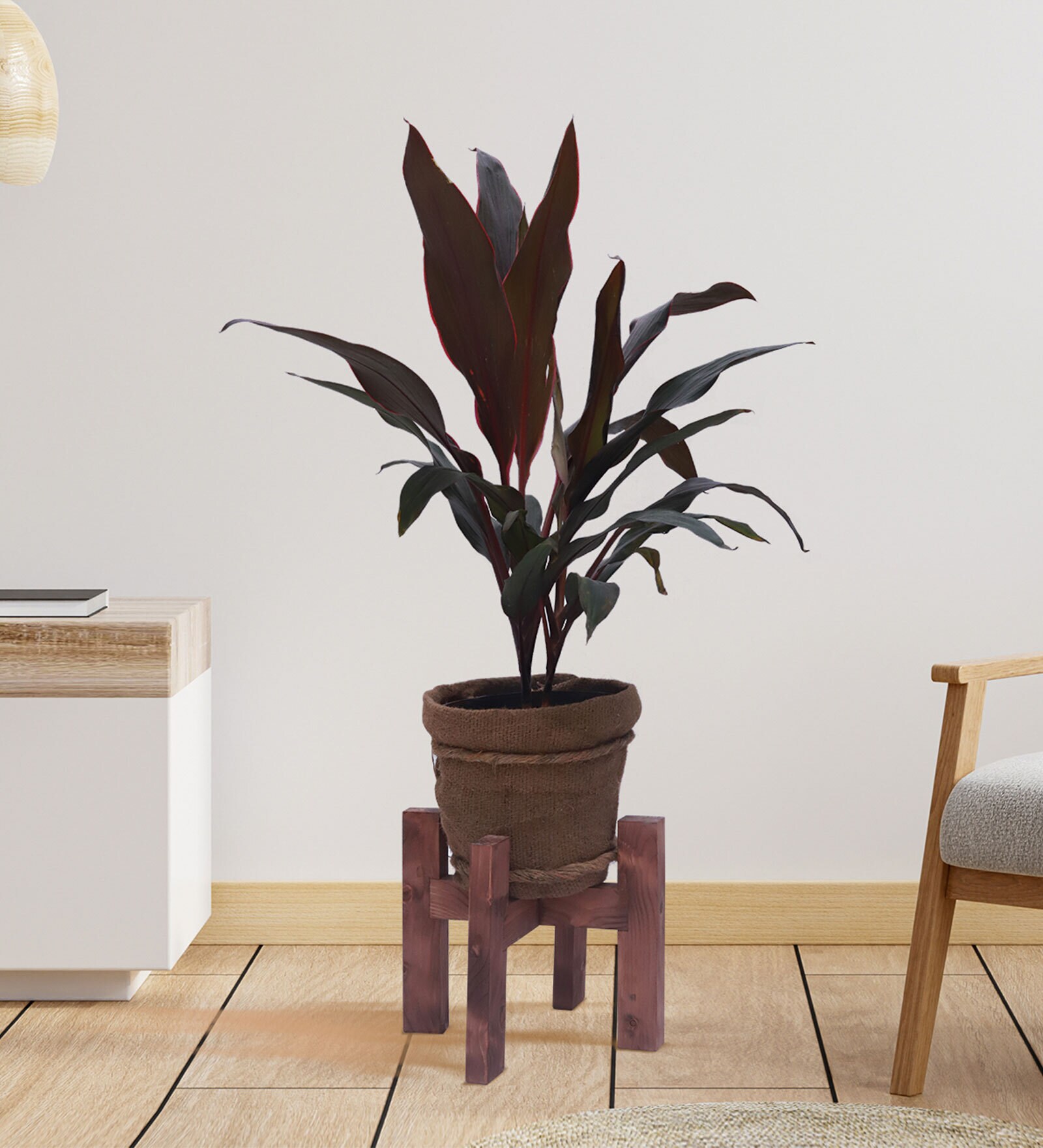 Buy Rosewood Pine Wood Interlock Planter Stand by It's Beautiful at 23% ...