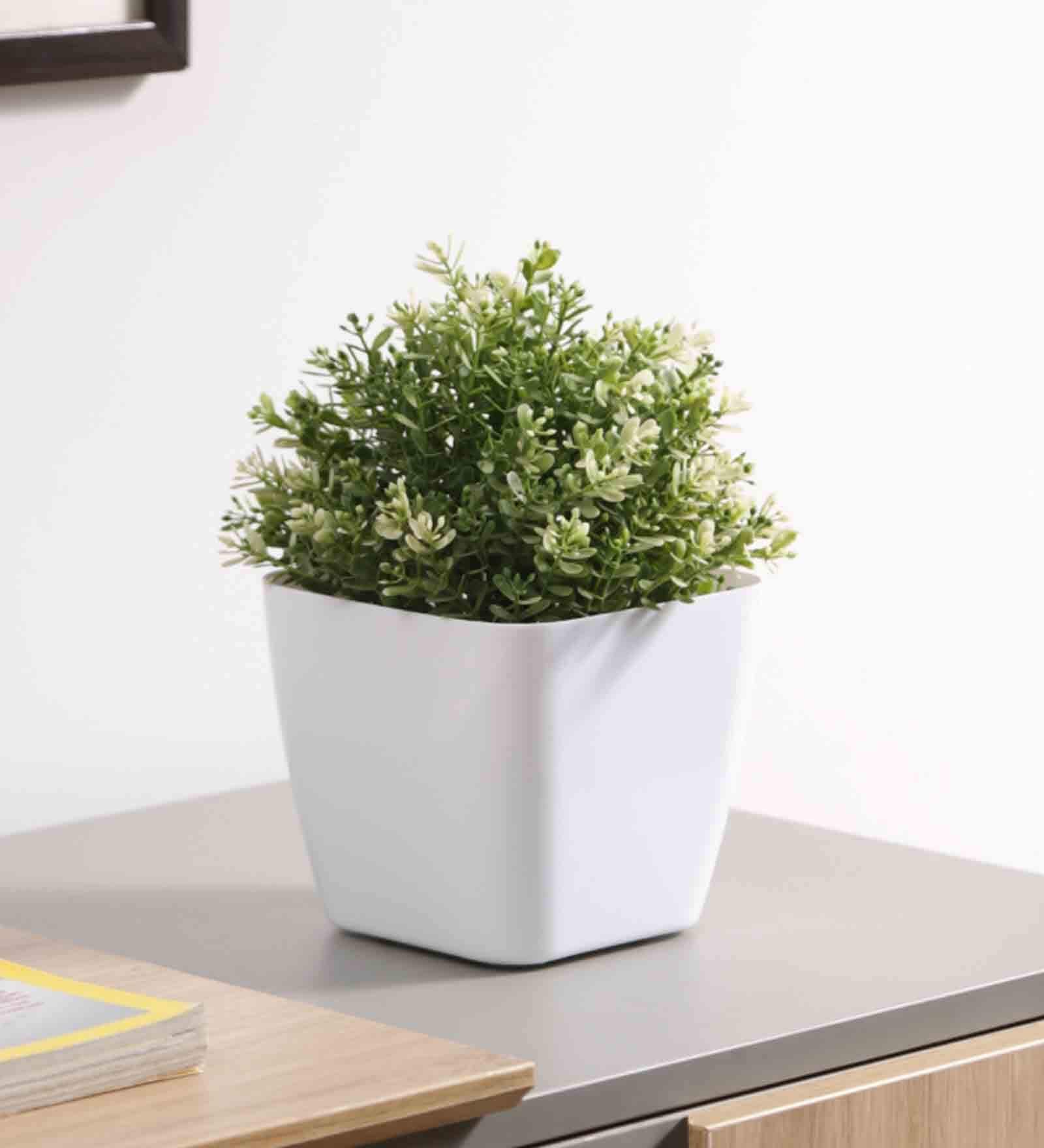 Buy Plastic White Flower Desk Pots at 29% OFF by Planters | Pepperfry