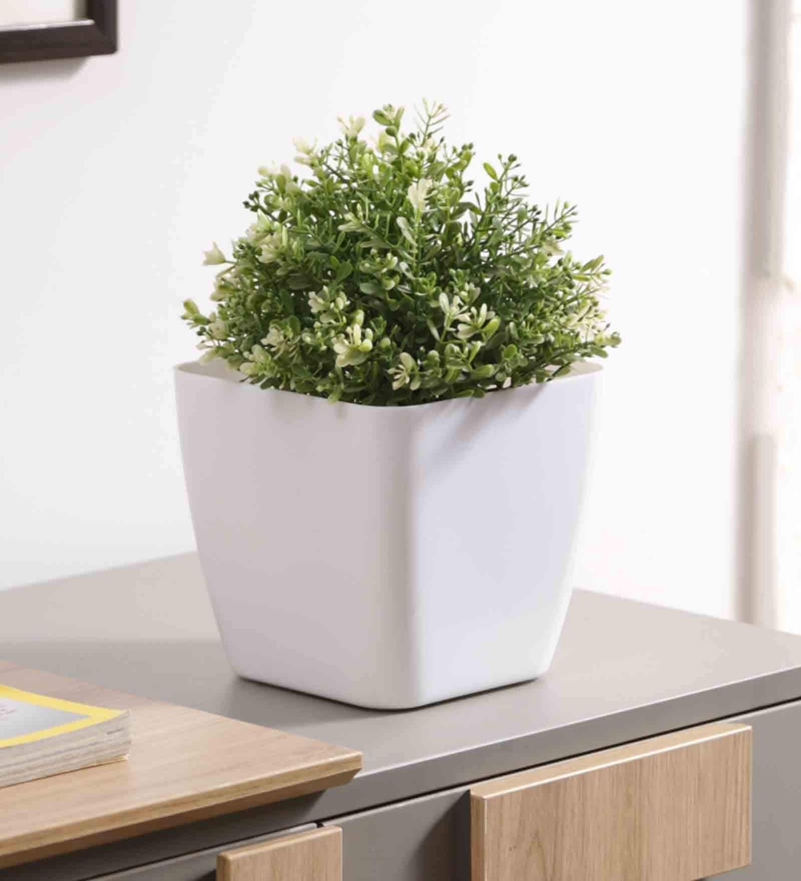 Buy Plastic White Flower Desk Pots at 33% OFF by Planters | Pepperfry