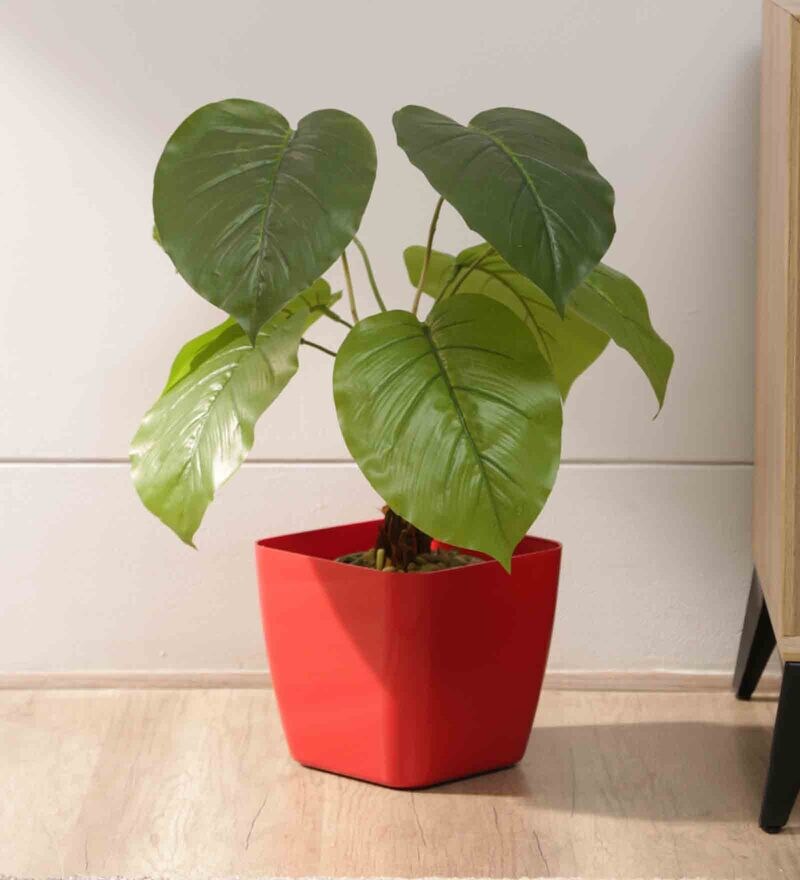 Buy Plastic Red Flower Pot By Planters Online - Floor Planters - Pots ...