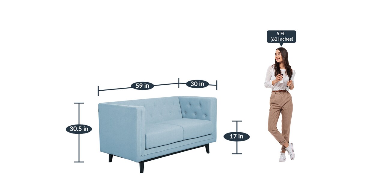 Buy Fermin Fabric 2 Seater Sofa In Ice Blue Colour By Casacraft Online ...
