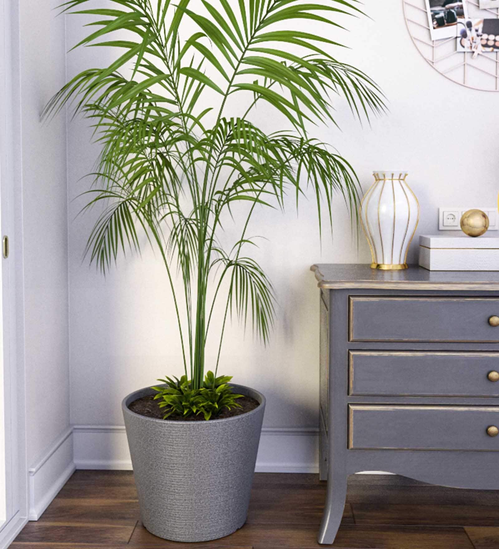 Buy Sicilian Aloha Large Grey Polymer Floor Planter at 12% OFF by ...