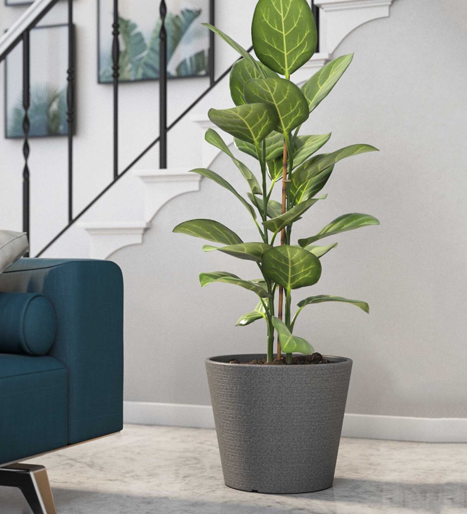 Buy Sicilian Aloha Medium Grey Polymer Floor Planter at 21% OFF by ...