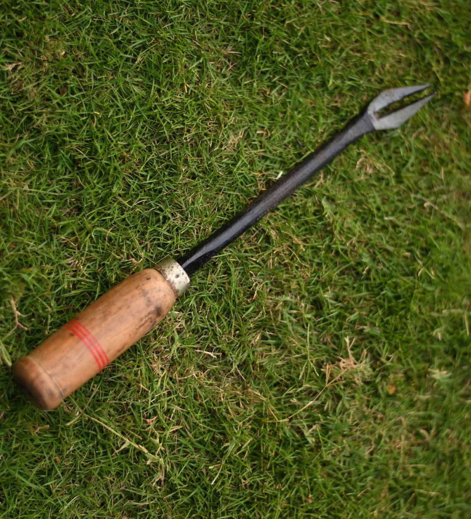 Buy Single Prong Weeder at 38% OFF by Ugaoo | Pepperfry