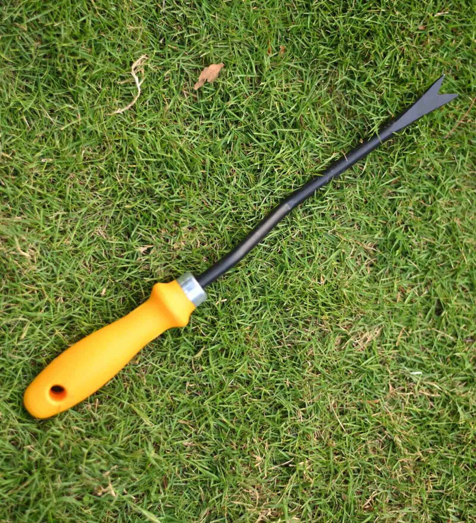 Buy Single Prong Weeder With PVC Handle at 24% OFF by Ugaoo | Pepperfry