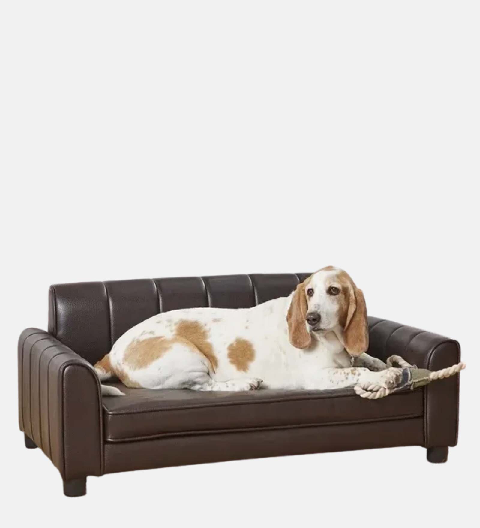 Buy Medium Pet Sofa In brown By Dogily at 100% OFF by Dogily | Pepperfry