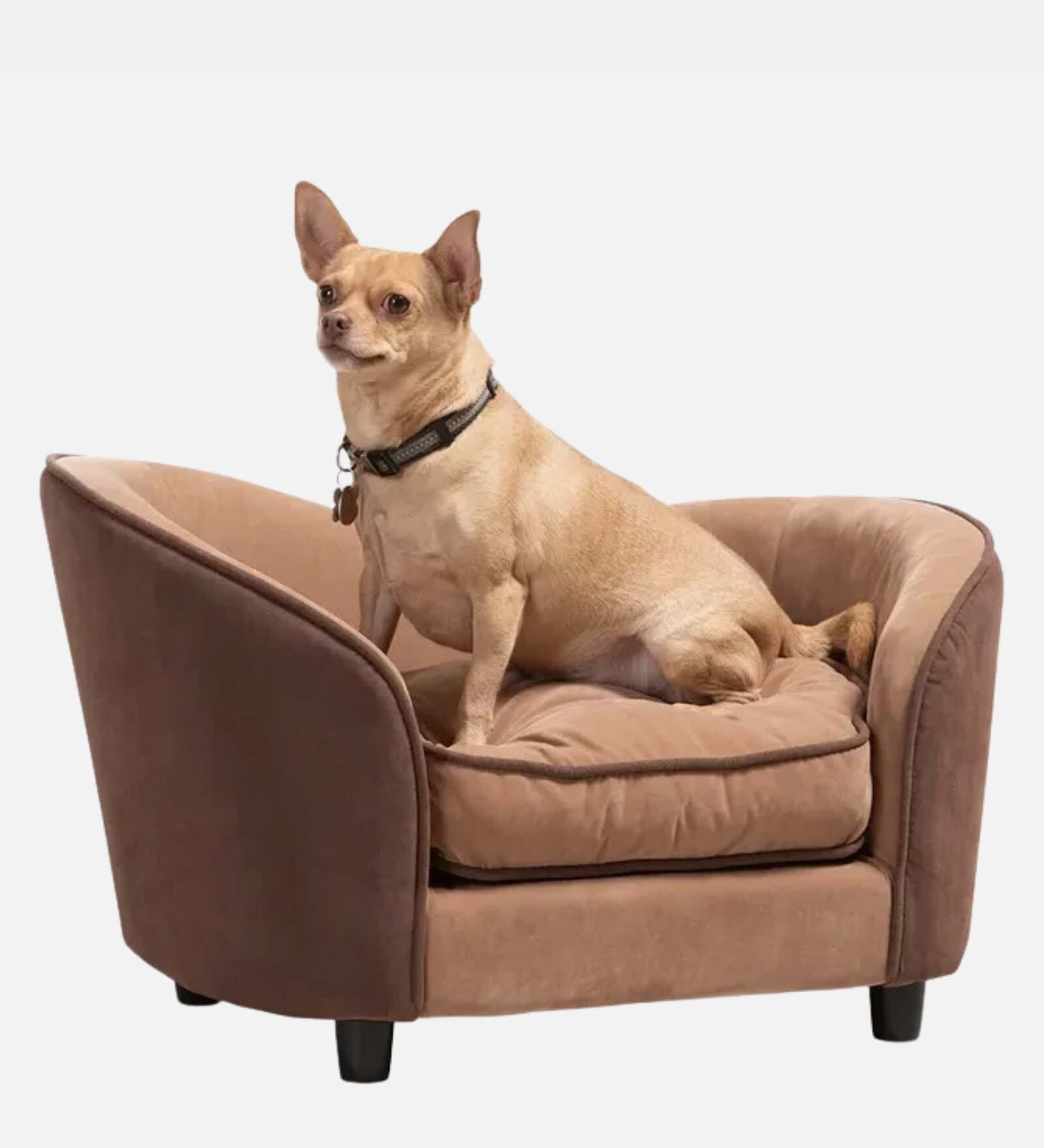 Buy Medium Pet Sofa In brown By Dogily at 100% OFF by Dogily | Pepperfry