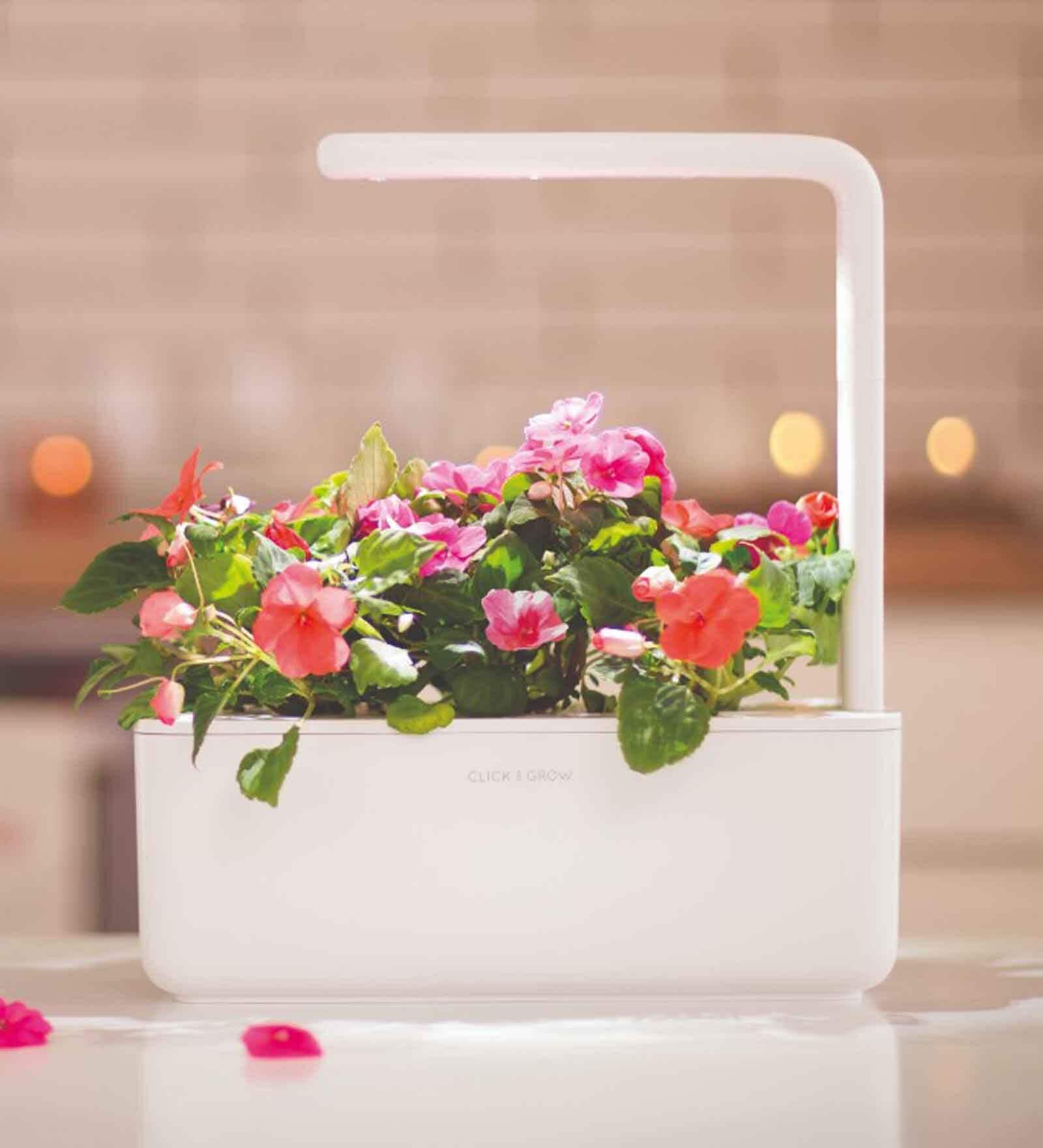 Buy Smart Garden 3 With Petunia 3-Pack Gardening Kit at 26% OFF by Grow ...