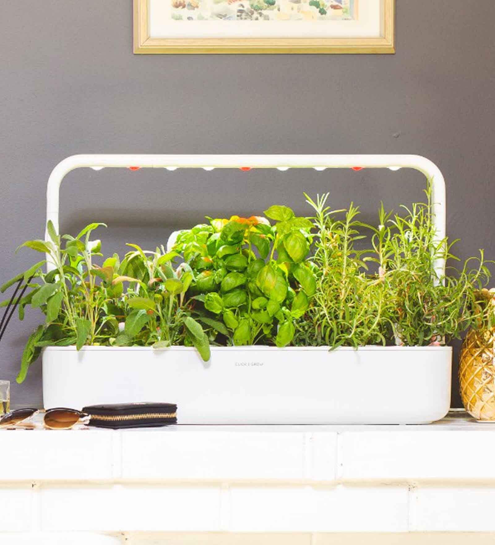 Buy Smart Garden 9 With Peppery Chili Mix Gardening Kit at 30% OFF by ...