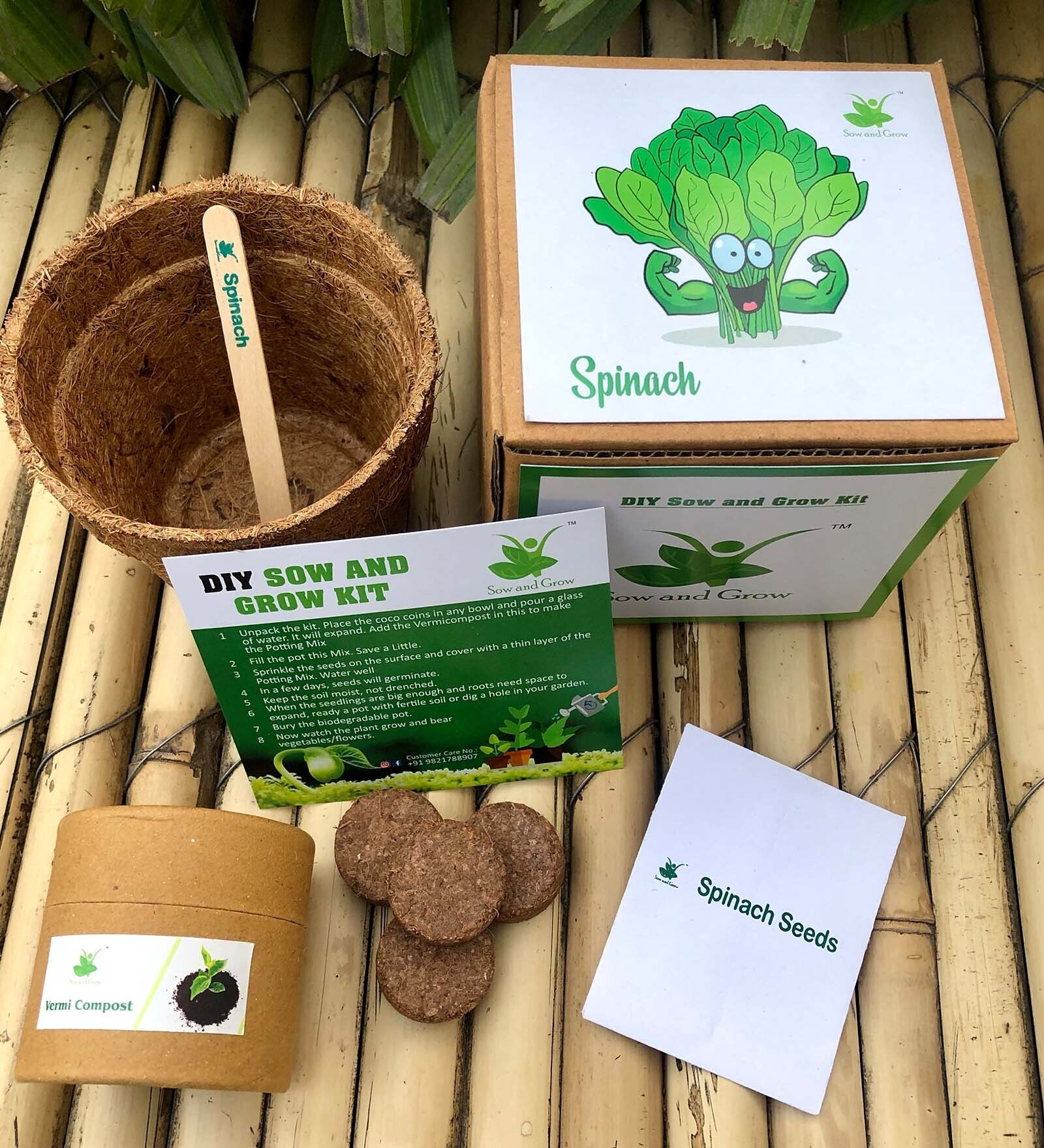 Buy Spinach (Palak) Vegetable seed Gardening Kit by Sow and Grow at 20% ...