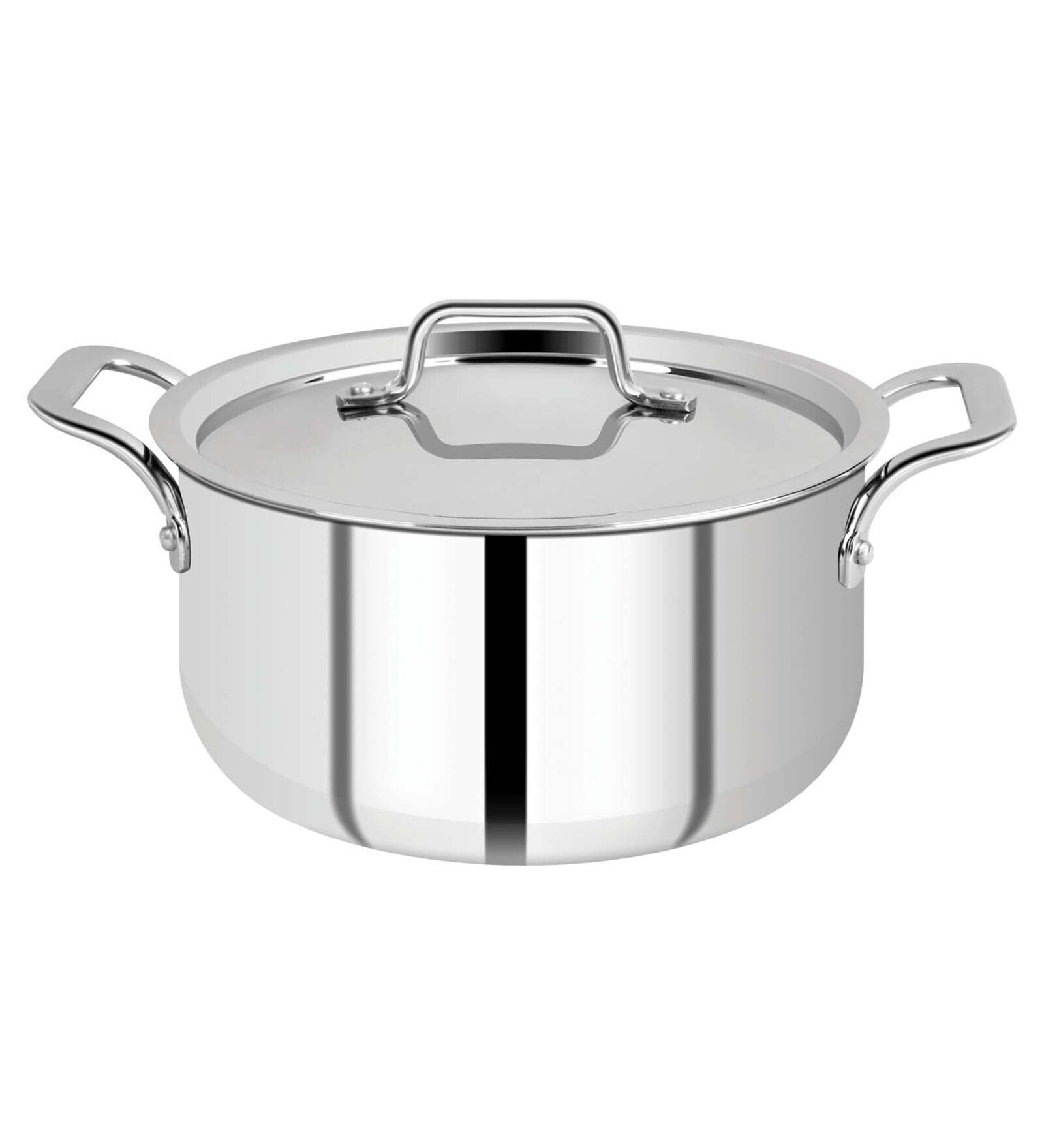 Buy Stainless Steel Induction Friendly 5.2 Ltrs Pot with Lid at 17% OFF ...