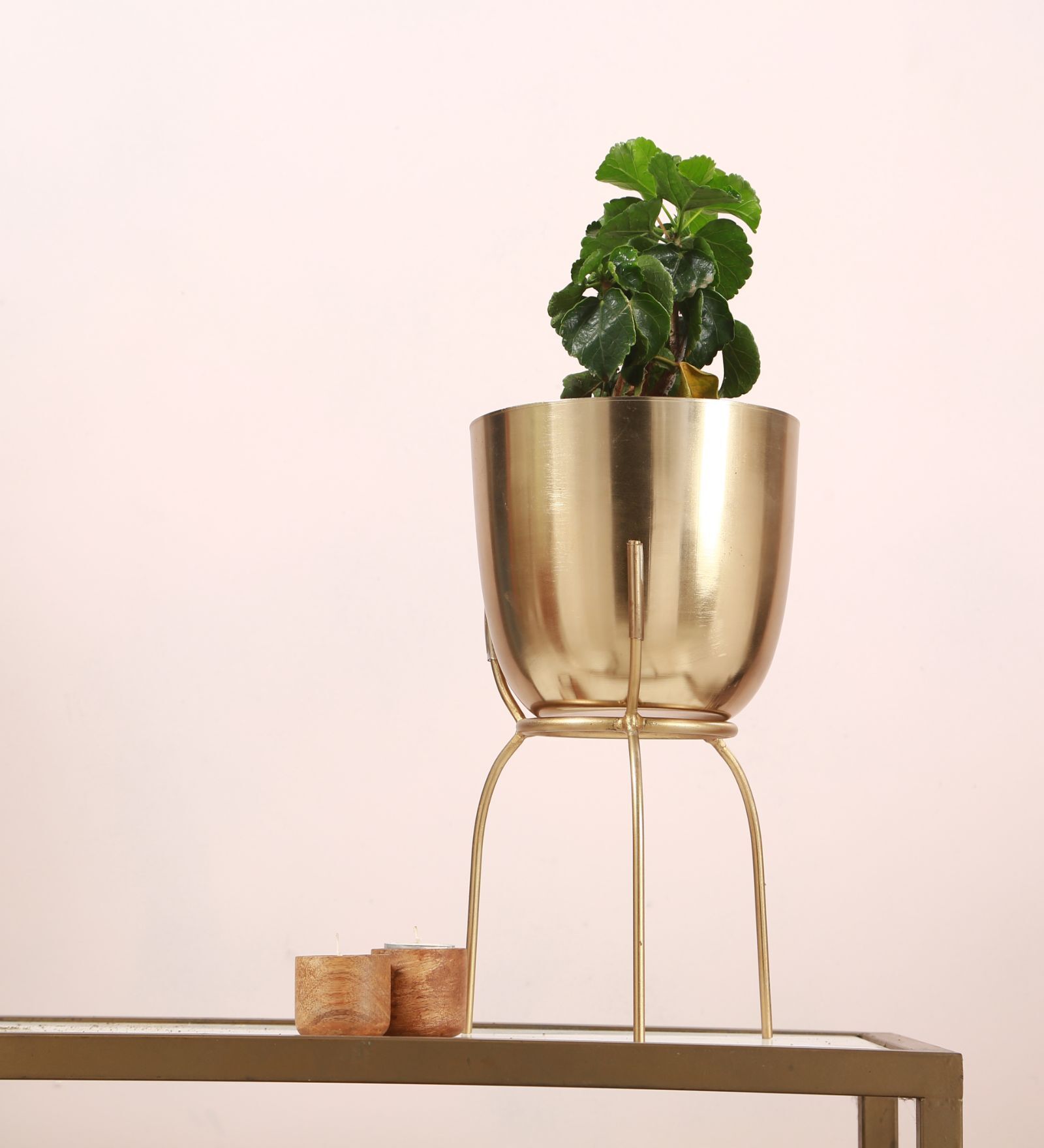 Buy Tall Gold Iron Planter with Stand by Citilites at 40% OFF by Manor ...