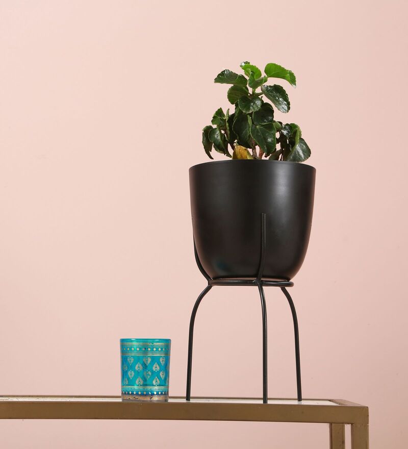 Buy Tall Black Iron Planter with Stand by Citilites Online - Big ...