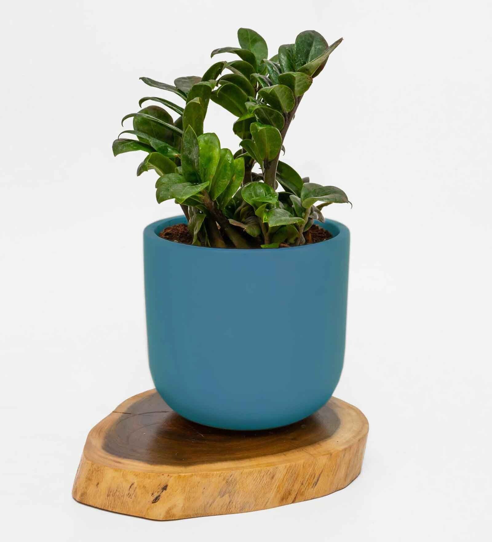 Buy Teal Clay Eco-Friendly Desk Planter at 32% OFF by Earthy Abode ...