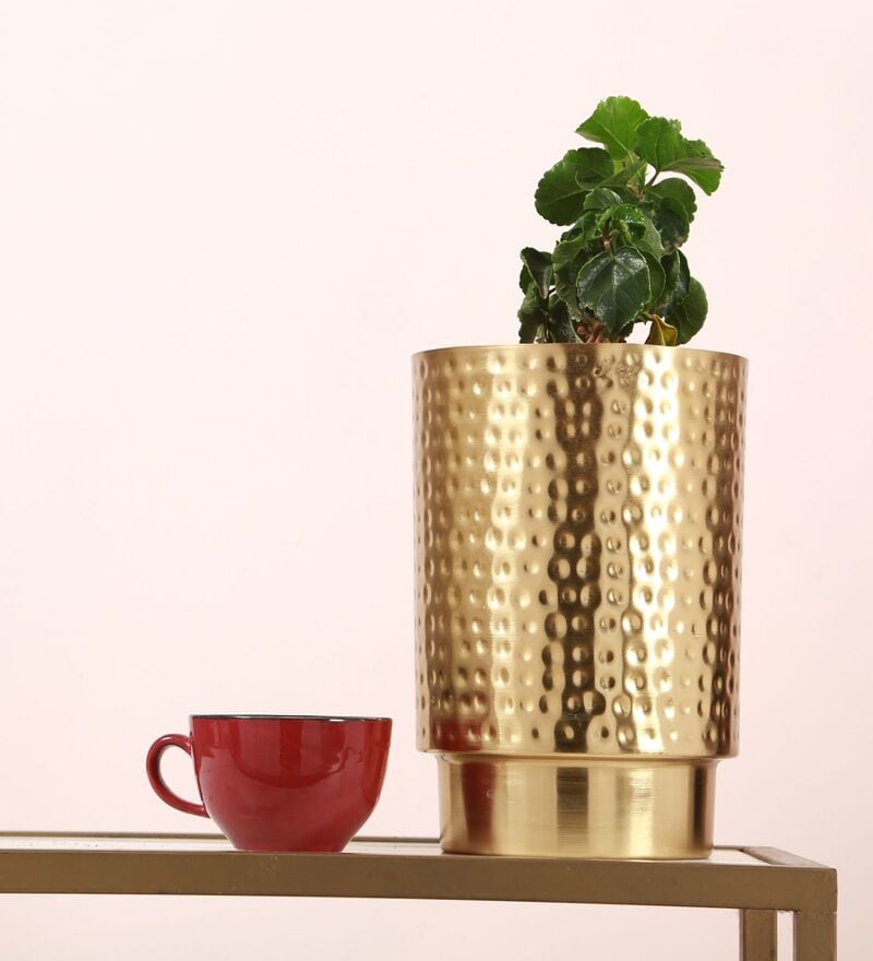 Buy Textured Gold Iron Desk Pot by Citilites Online - Big Planters ...