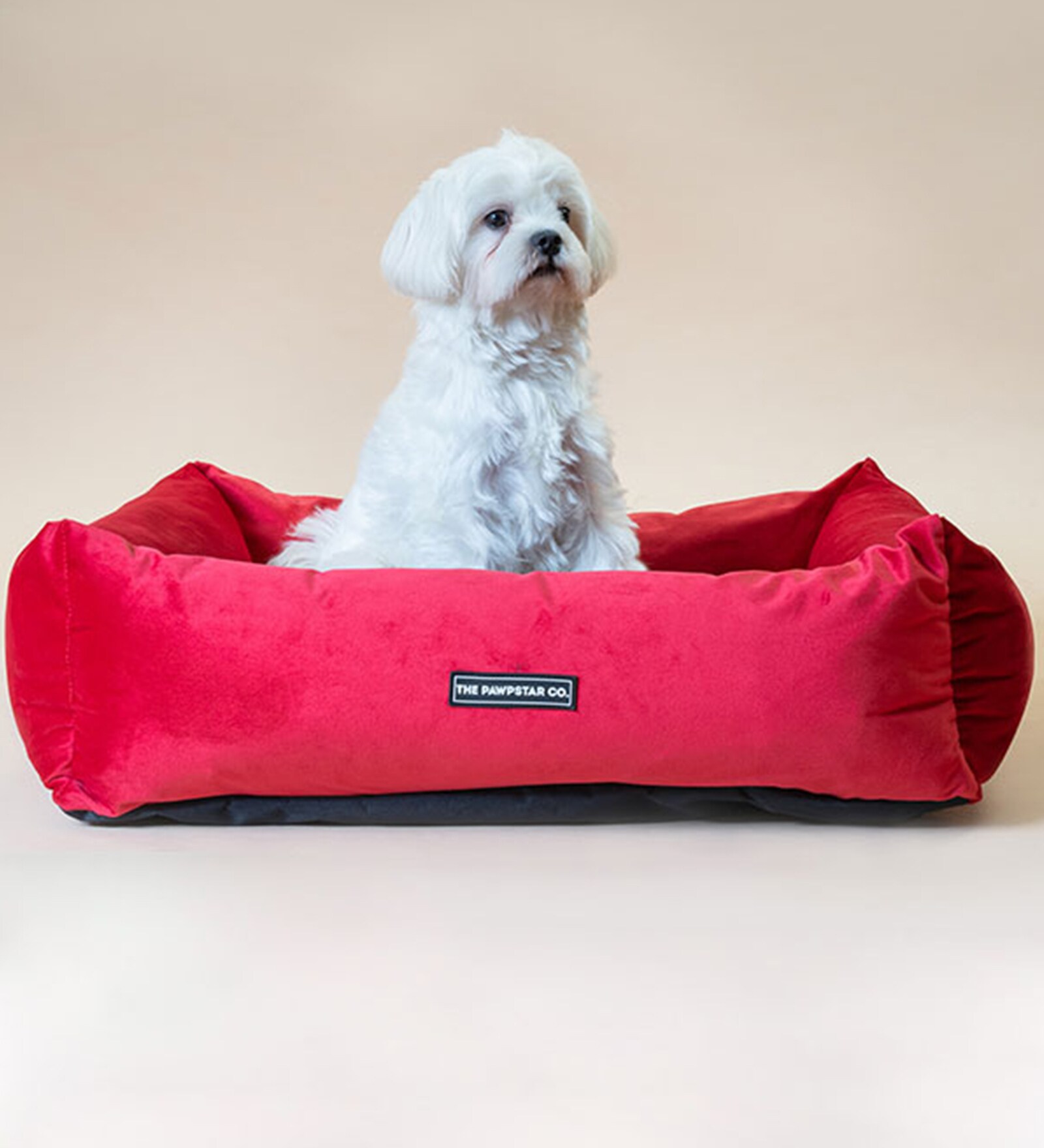 Buy Blaze Lounger Bed in Red Colour By Pawpstar at 50% OFF by The ...
