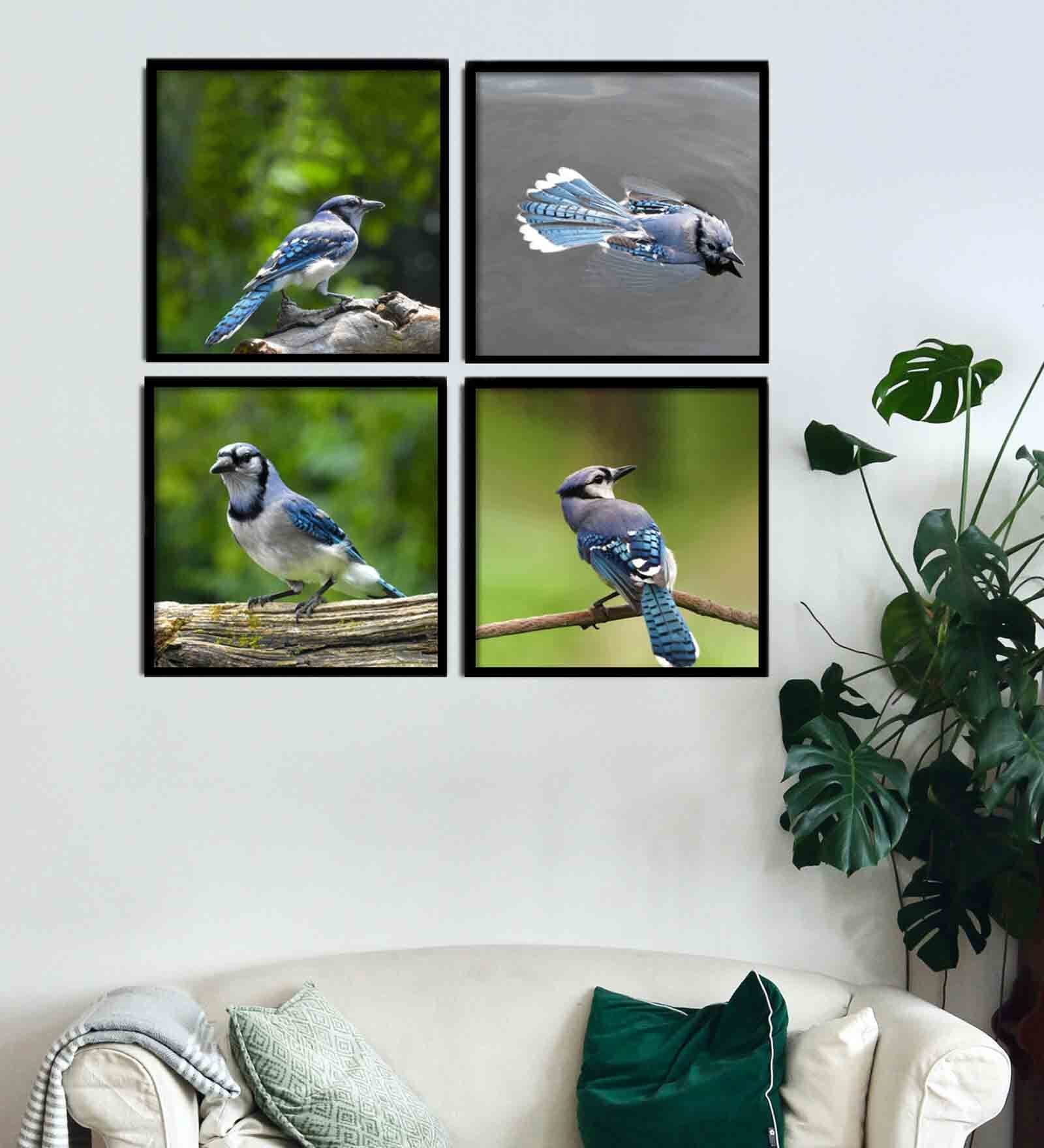 Buy Difficult Nature Blue Engineered Wood Framed Wildlife Art Print Set ...