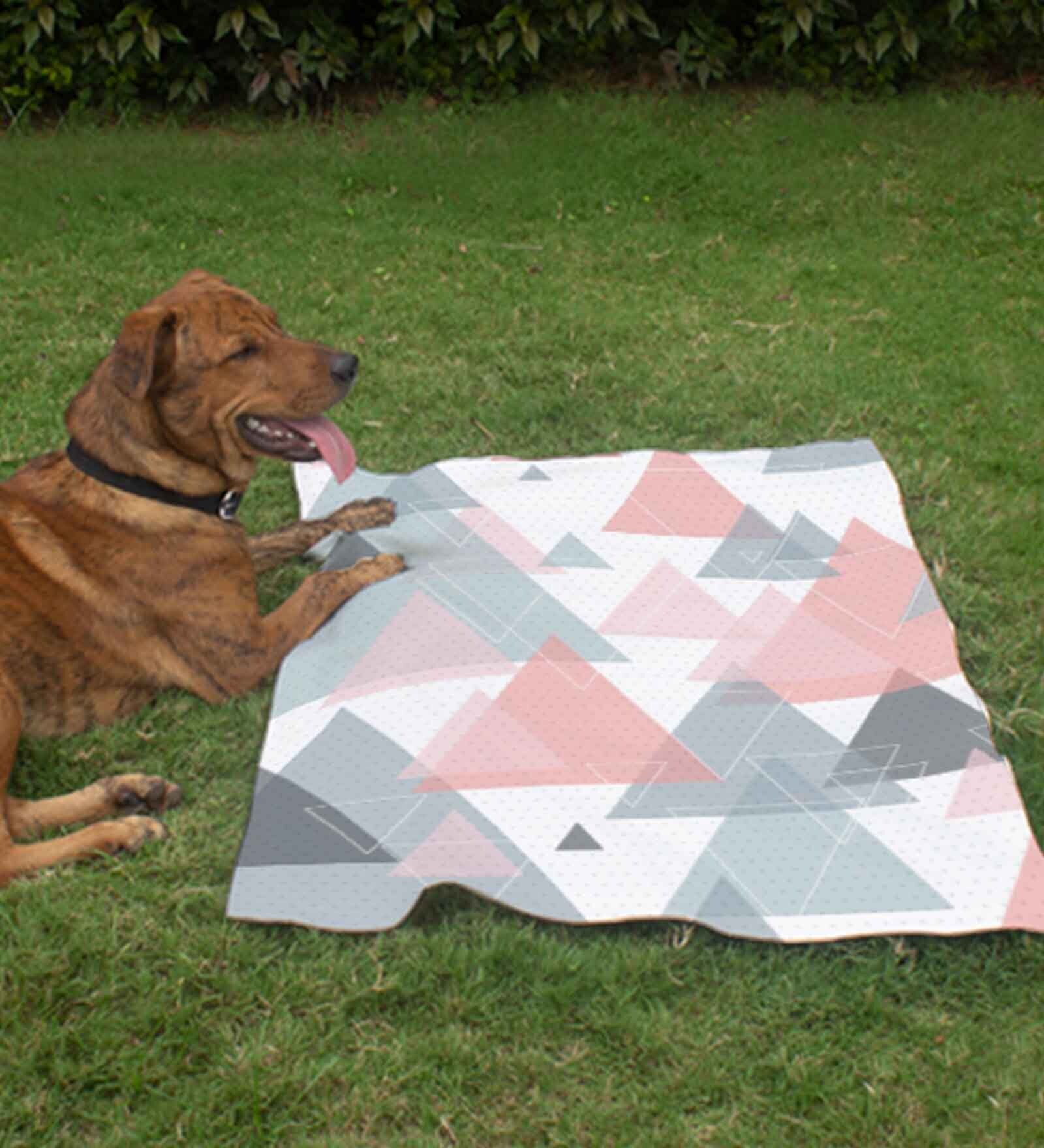 Buy Triangle Pattern MultiColour Fabric Dog Blanket at 16% OFF by Right ...
