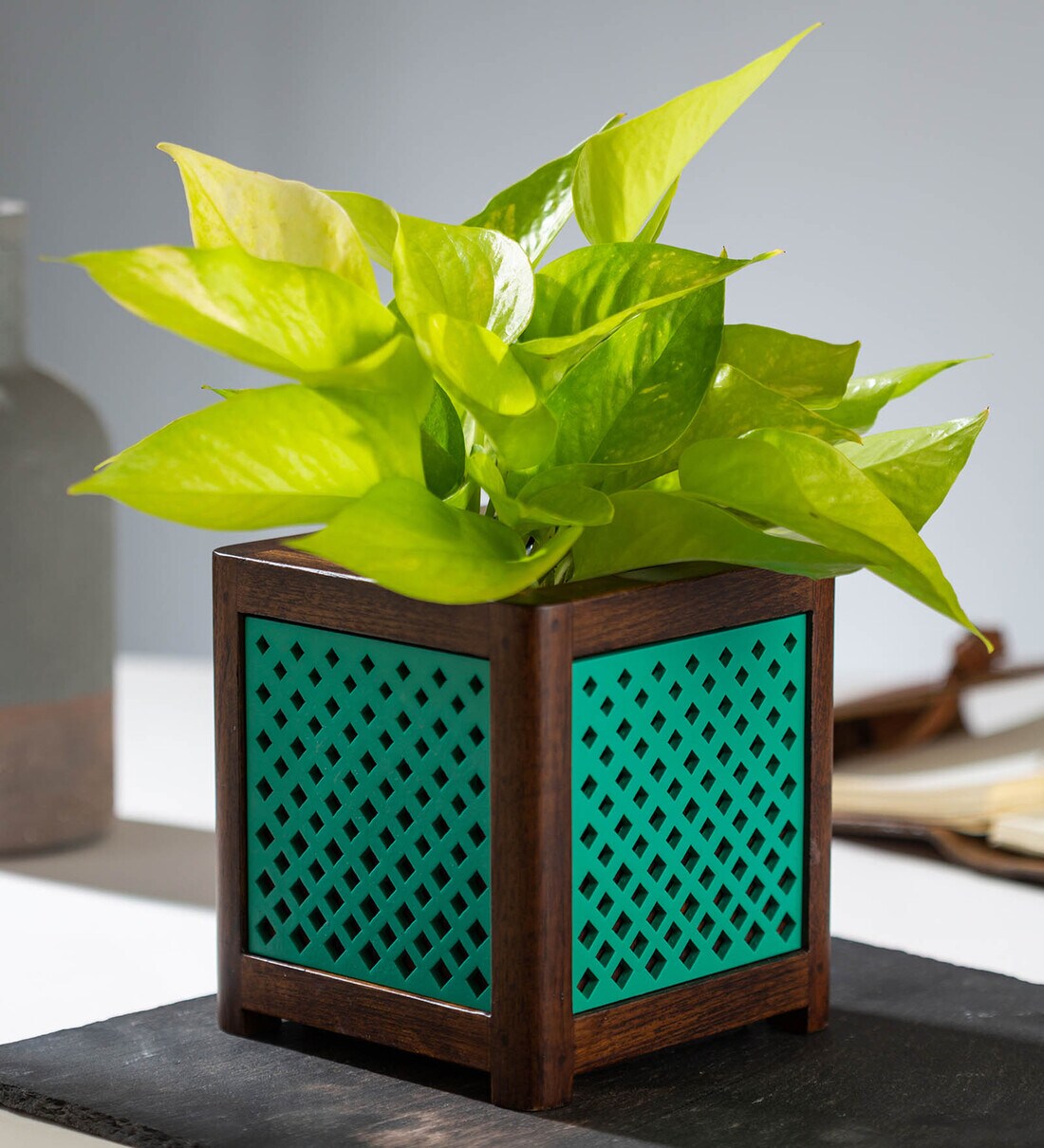 Buy Turquoise Green Teak Wood Qubo Series Pop Dotted Handmade Wooden ...