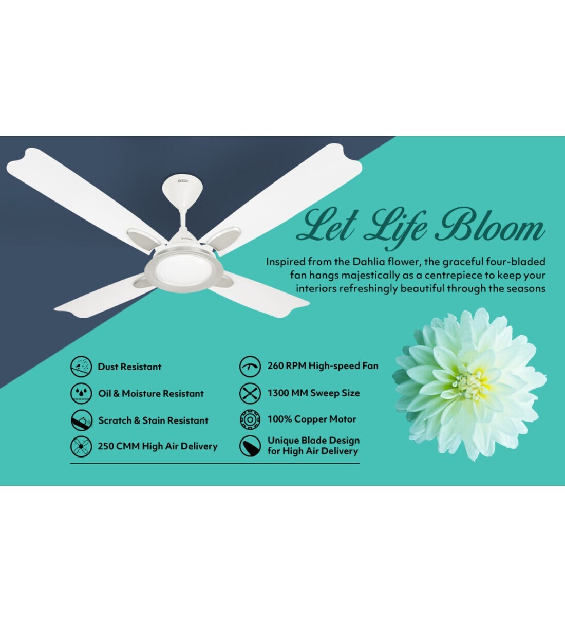 Buy Usha Bloom Dahlia Goodbye Dust 1300 Mm 4 Blade Ceiling Fan (Sparkle ...