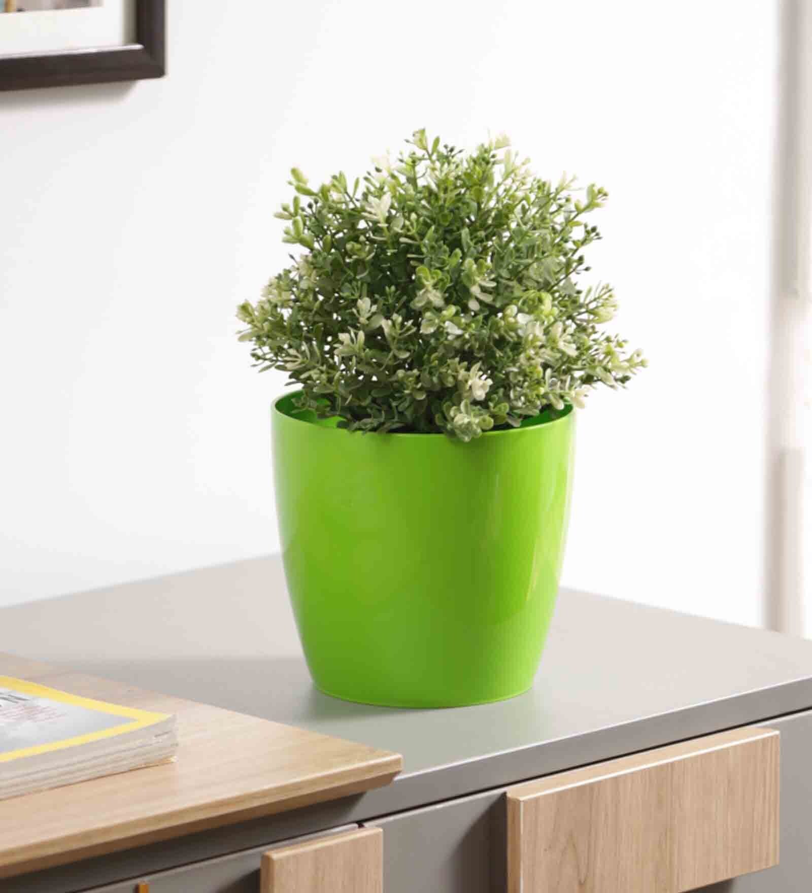 Buy Plastic Green Flower Desk Pots at 50% OFF by Planters | Pepperfry