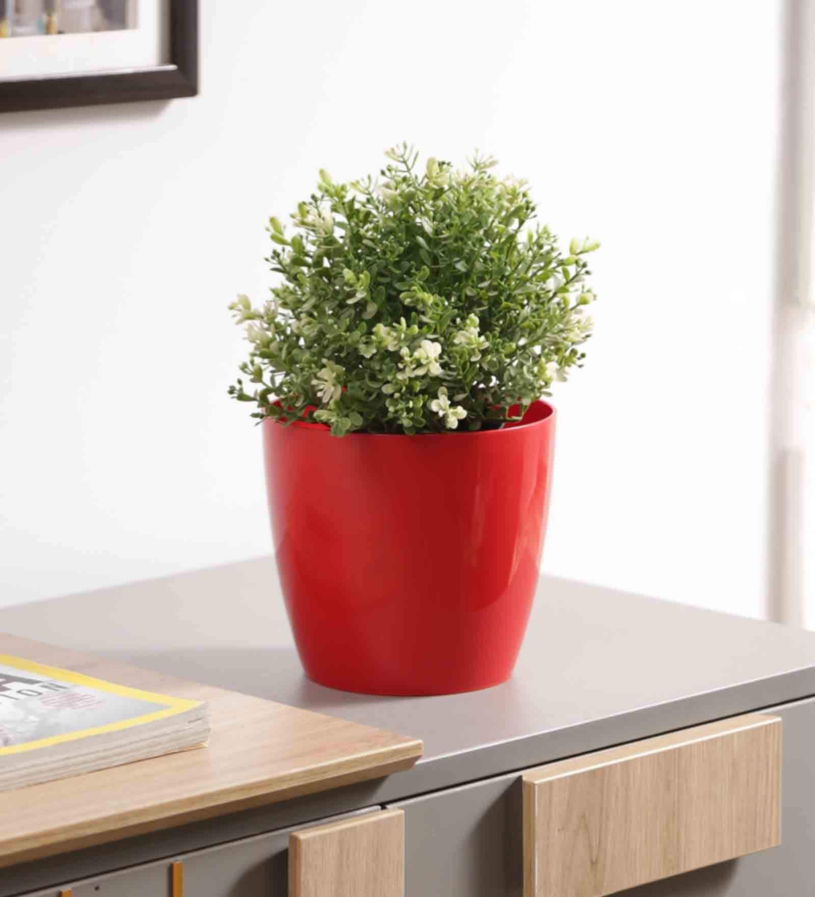 Buy Plastic Red Flower Desk Pots at 43% OFF by Planters | Pepperfry