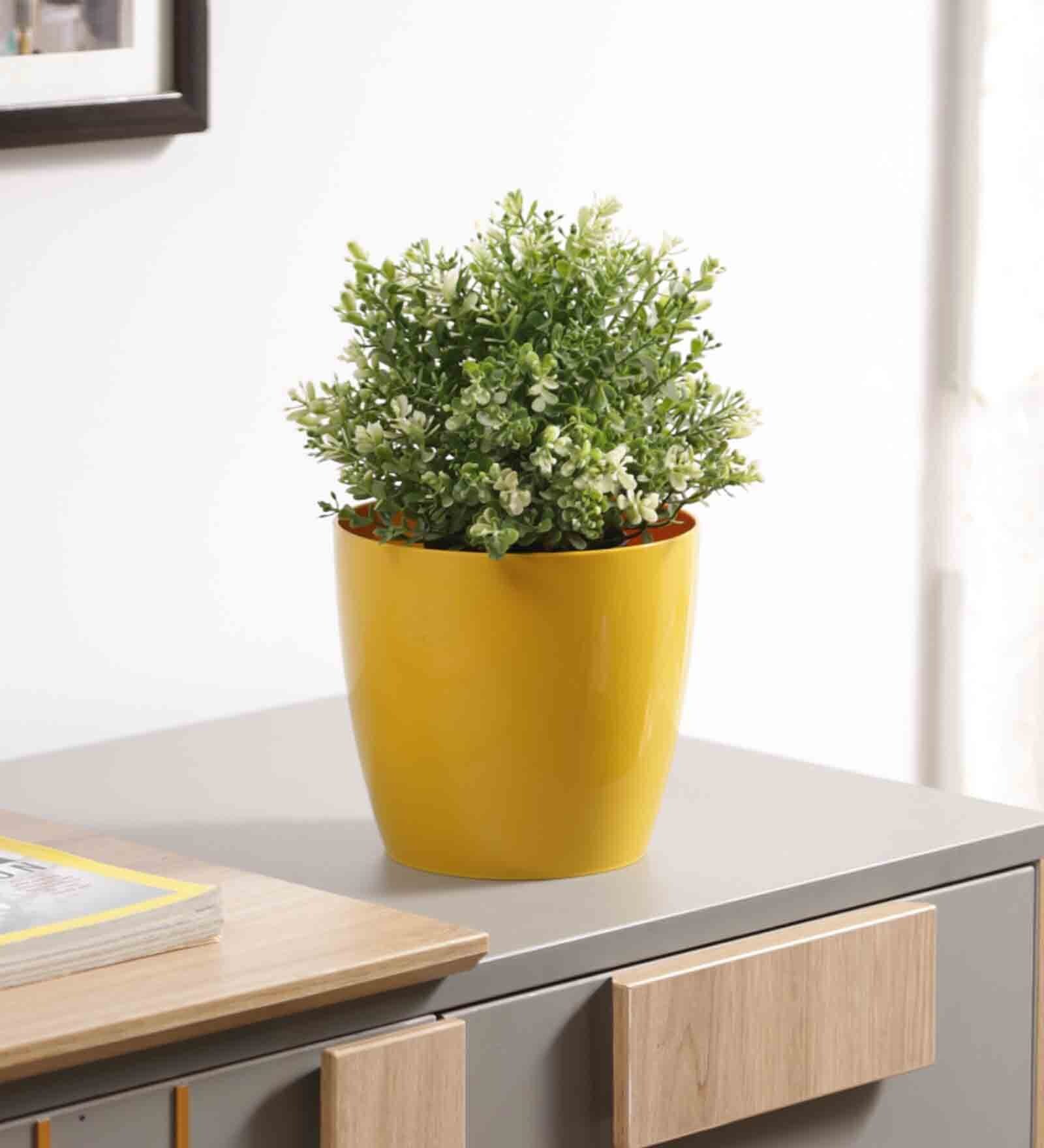 Buy Plastic Yellow Flower Desk Pots at 46% OFF by Planters | Pepperfry