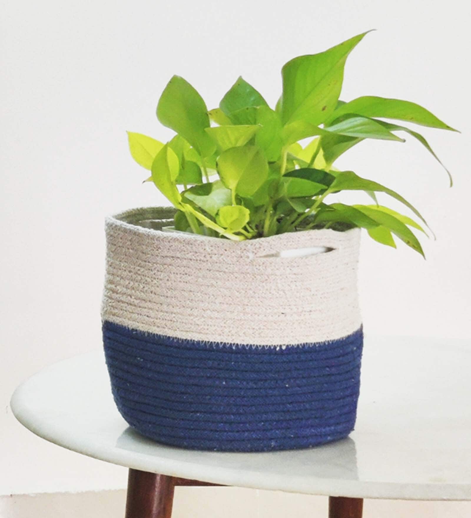 Buy Vibrant Blue Cotton Planter at 22% OFF by Jasmey Homes | Pepperfry