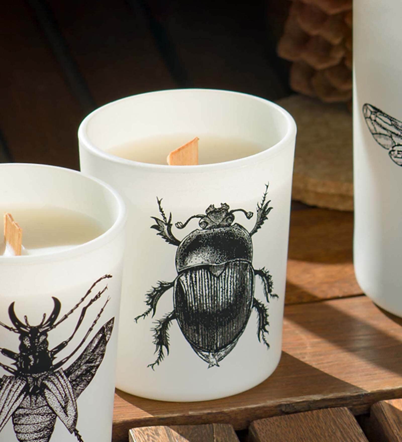 Buy Vila Hermanos White Wax Candle at 20% OFF by Home4U | Pepperfry