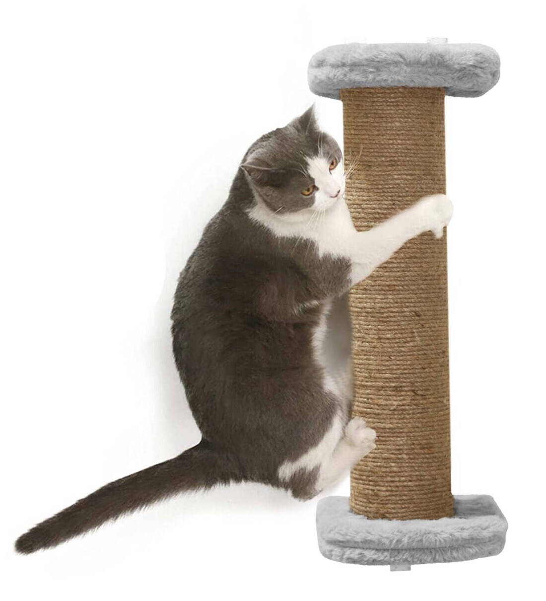 Buy Wall Hanging Scratching Post For Cat Kitten Small Size In Grey ...