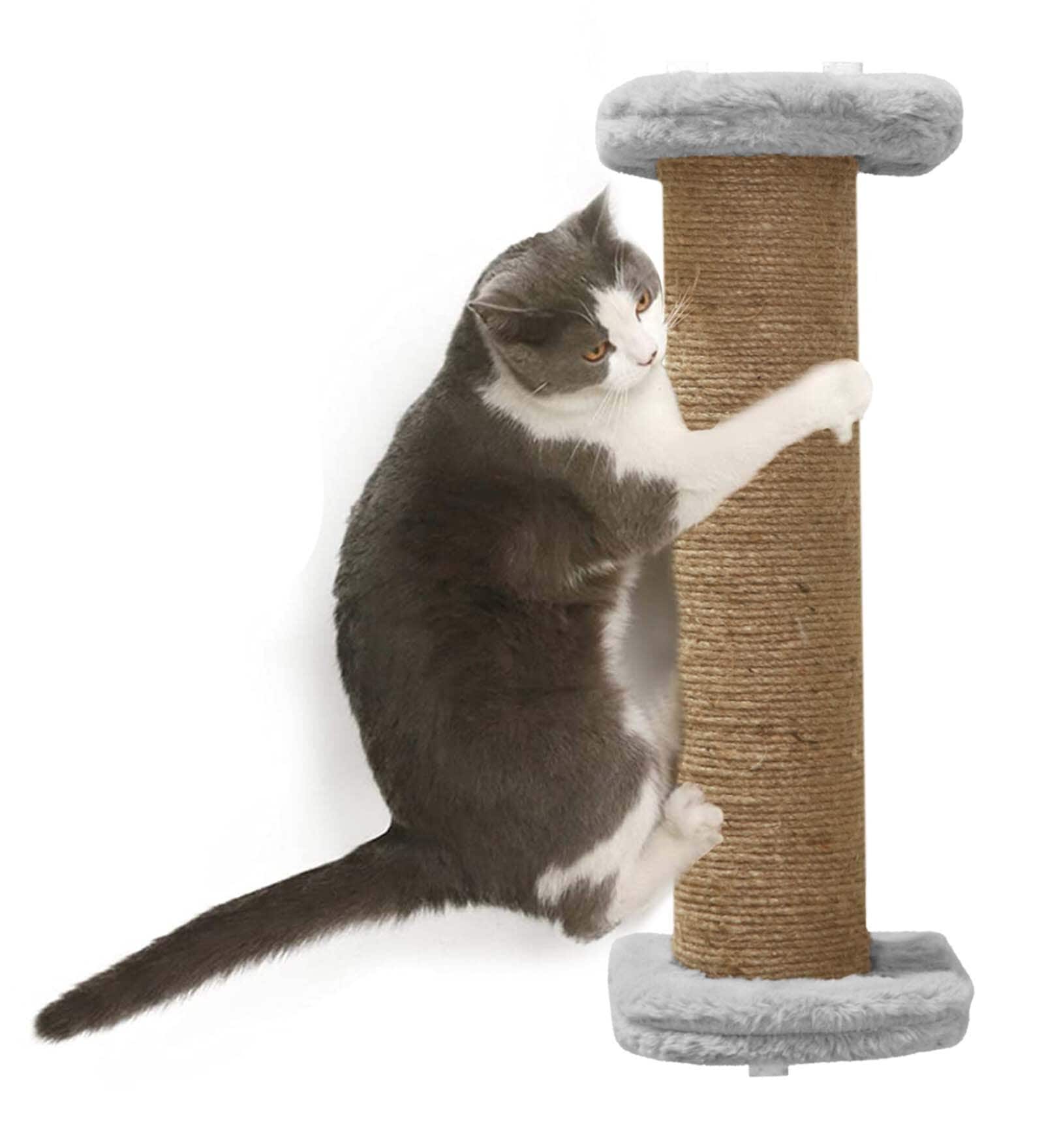 Buy Wall Hanging Scratching Post For Cat Kitten Medium Size In Grey ...