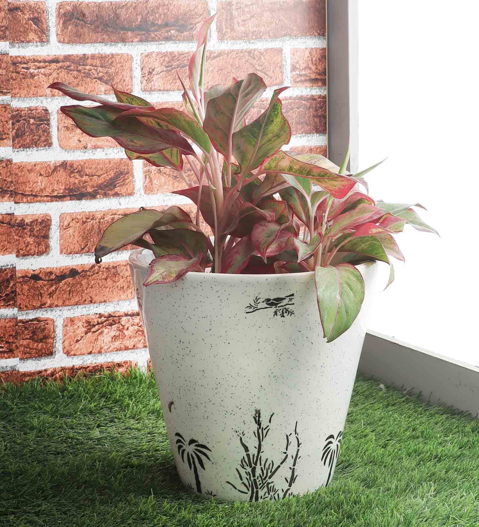 Buy White Ceramic Bucket Planter by The Decor Mart at 64% OFF by The ...