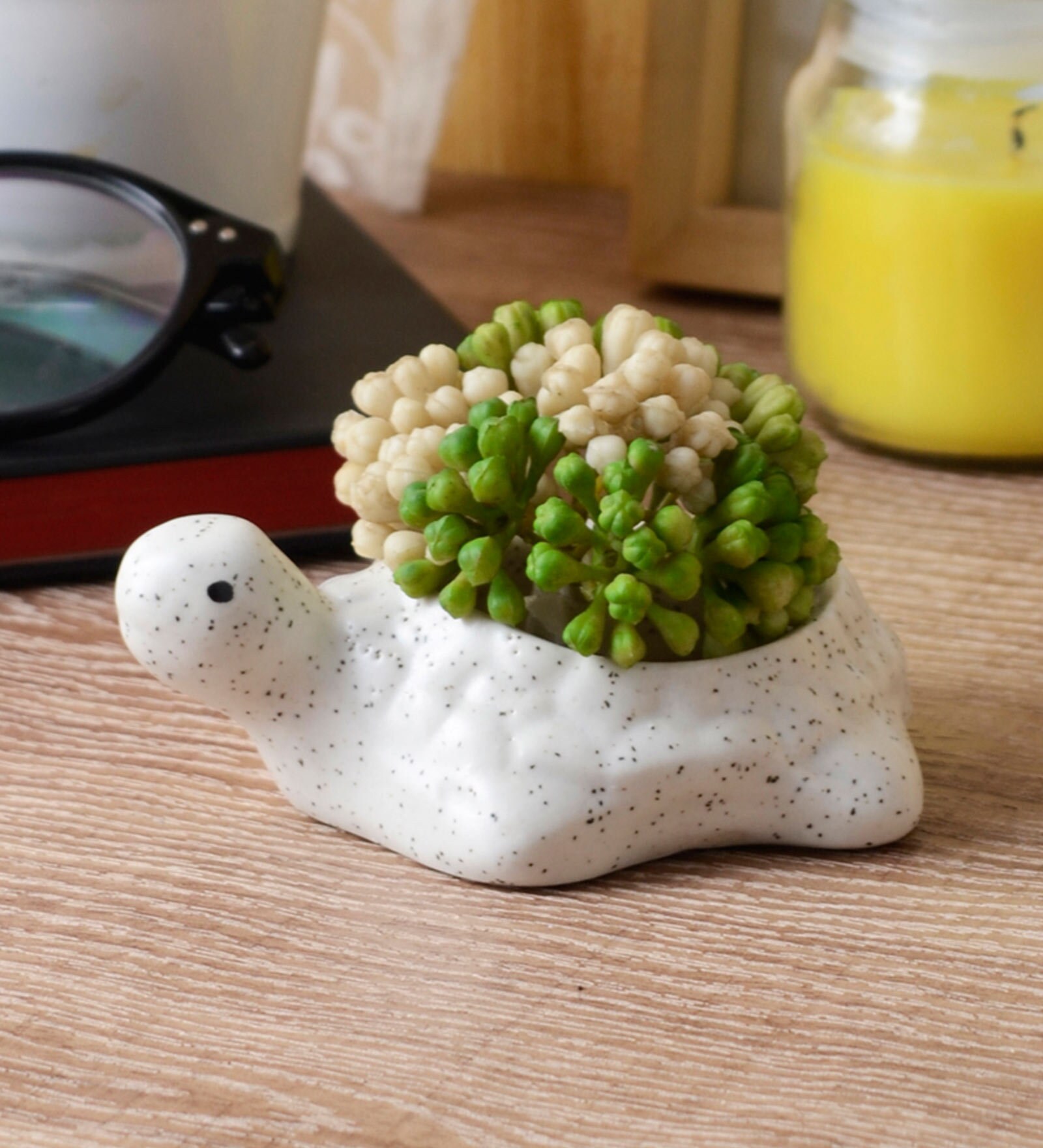 Buy White Ceramic Mini Turtle Pot at 50% OFF by Gaia | Pepperfry