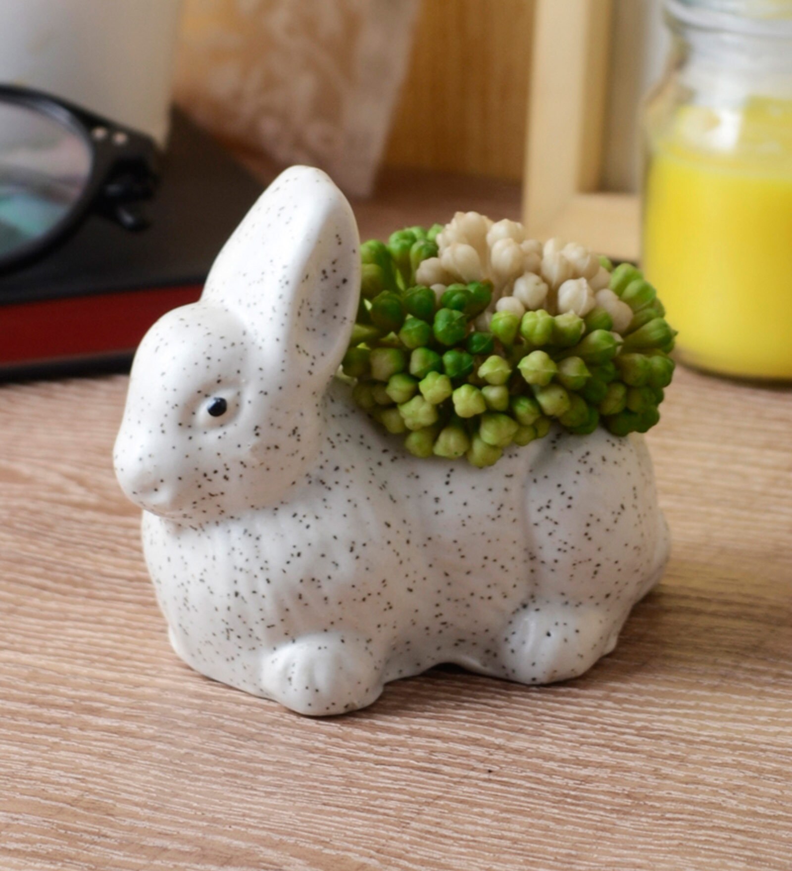 Buy White Ceramic Rabbit Pot By Gaia at 25% OFF by Gaia | Pepperfry