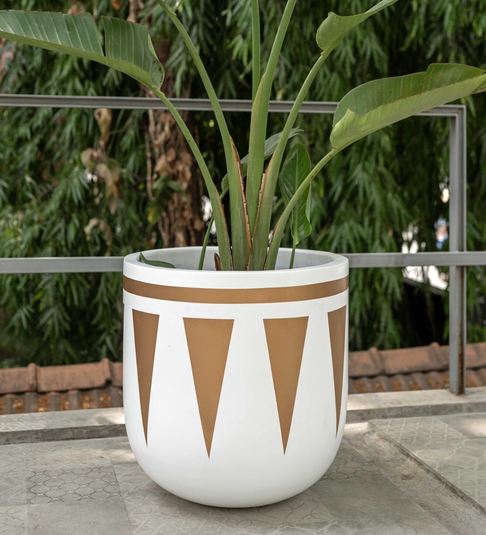 Buy White Concrete Planter by Curiocasa at 25% OFF by Curiocasa | Pepperfry