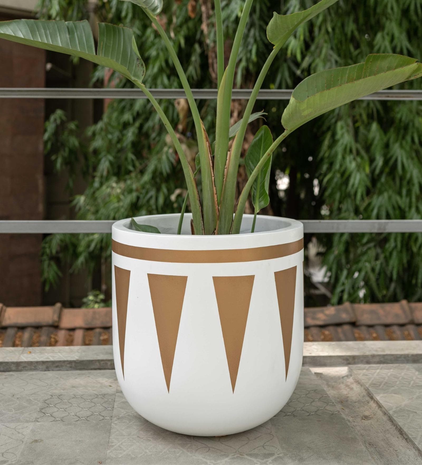 Buy White Concrete Planter by Curiocasa at 25% OFF by Curiocasa | Pepperfry
