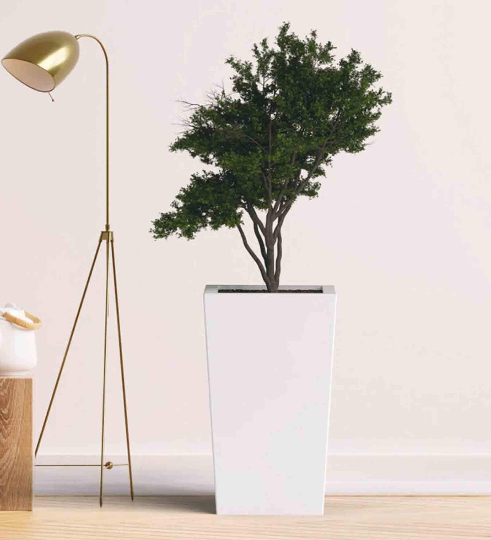 Buy White Extra Large Fiberglass Square Pillar Shape Big Planter at 20% ...