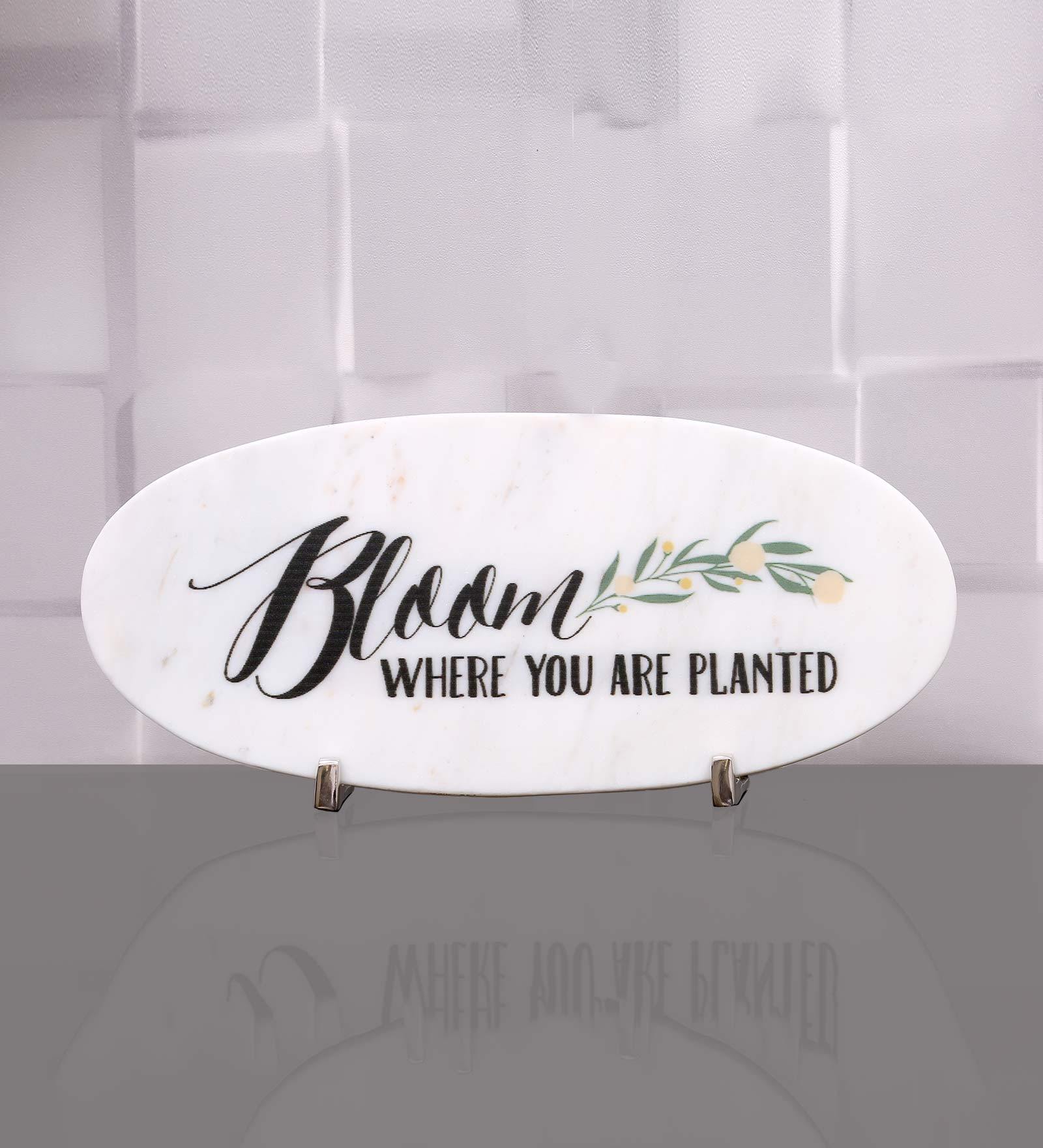 Buy White Marble Bloom Decorative Plate Showpiece By POSH N PLUSH ...