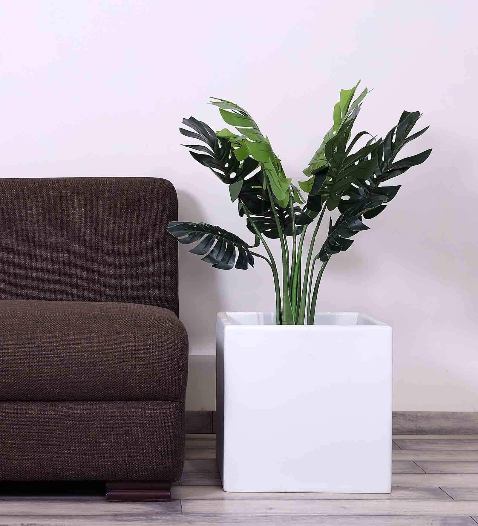 Buy White Medium Fiberglass Square Shape Floor Planter at 27% OFF by ...