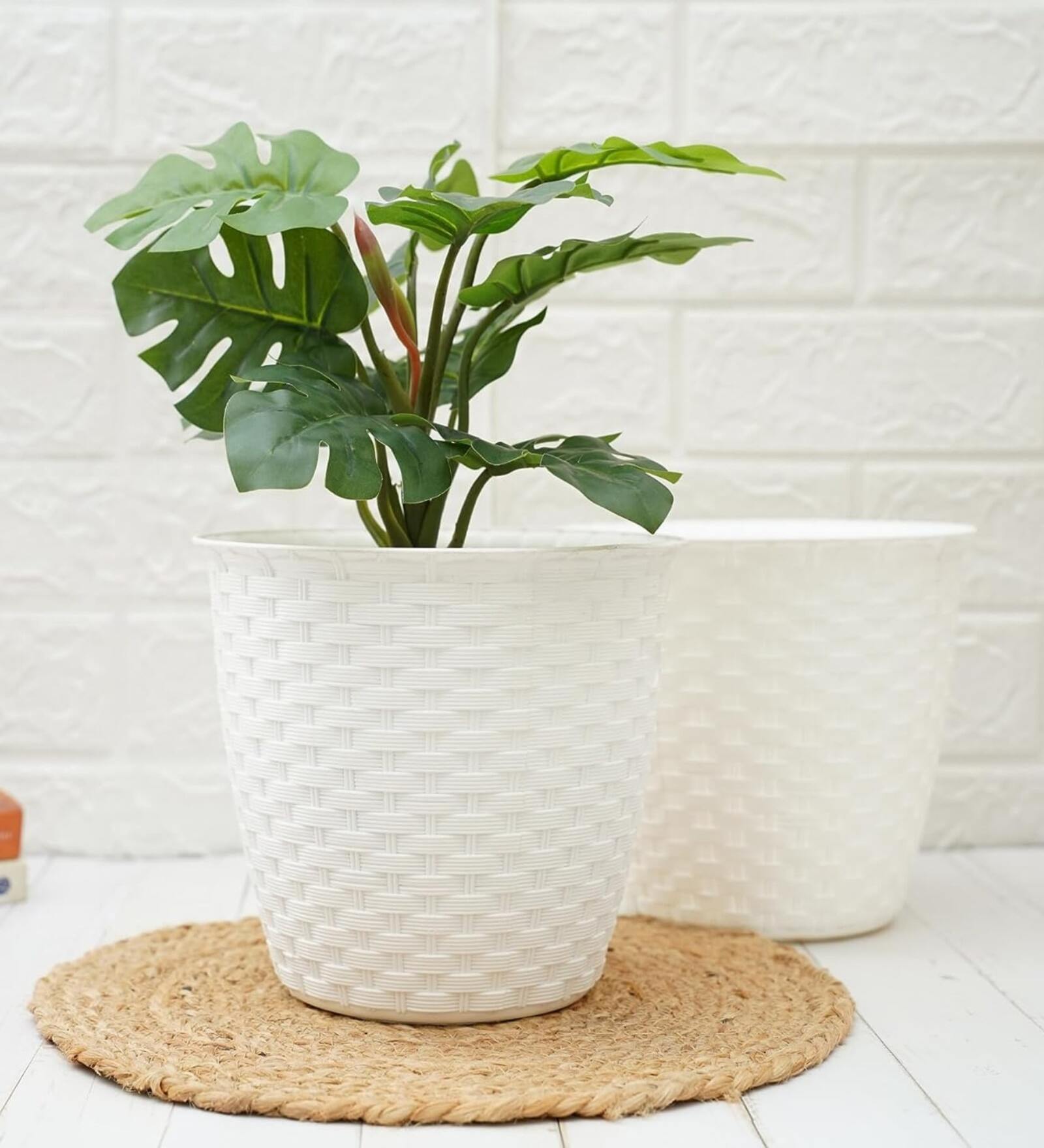 Buy White Plastic (Set of 2) Desk Pots at 33% OFF by Gold Dust | Pepperfry