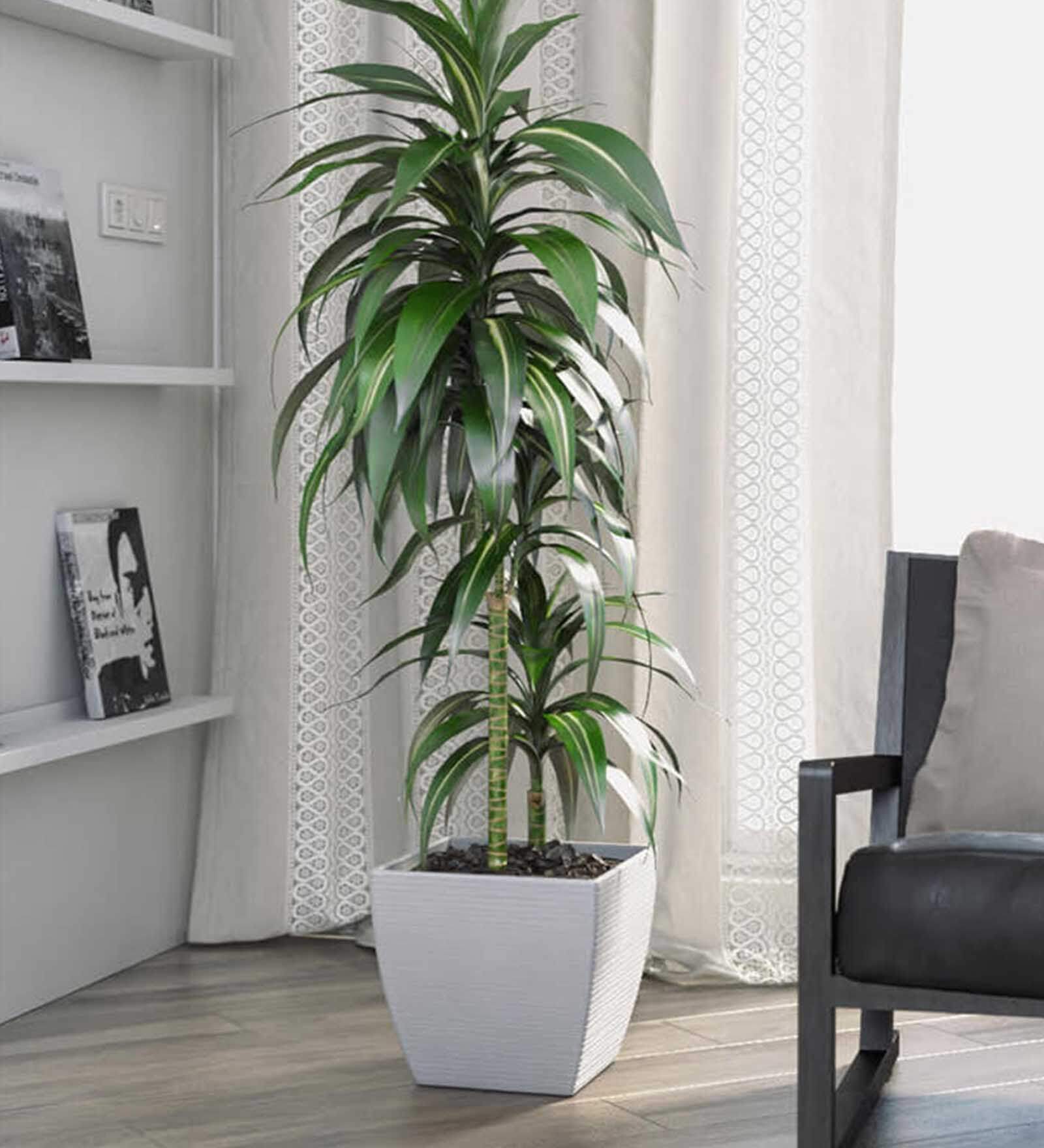 Buy Fabi Small White Polymer Floor Planter at 29% OFF by Planters ...