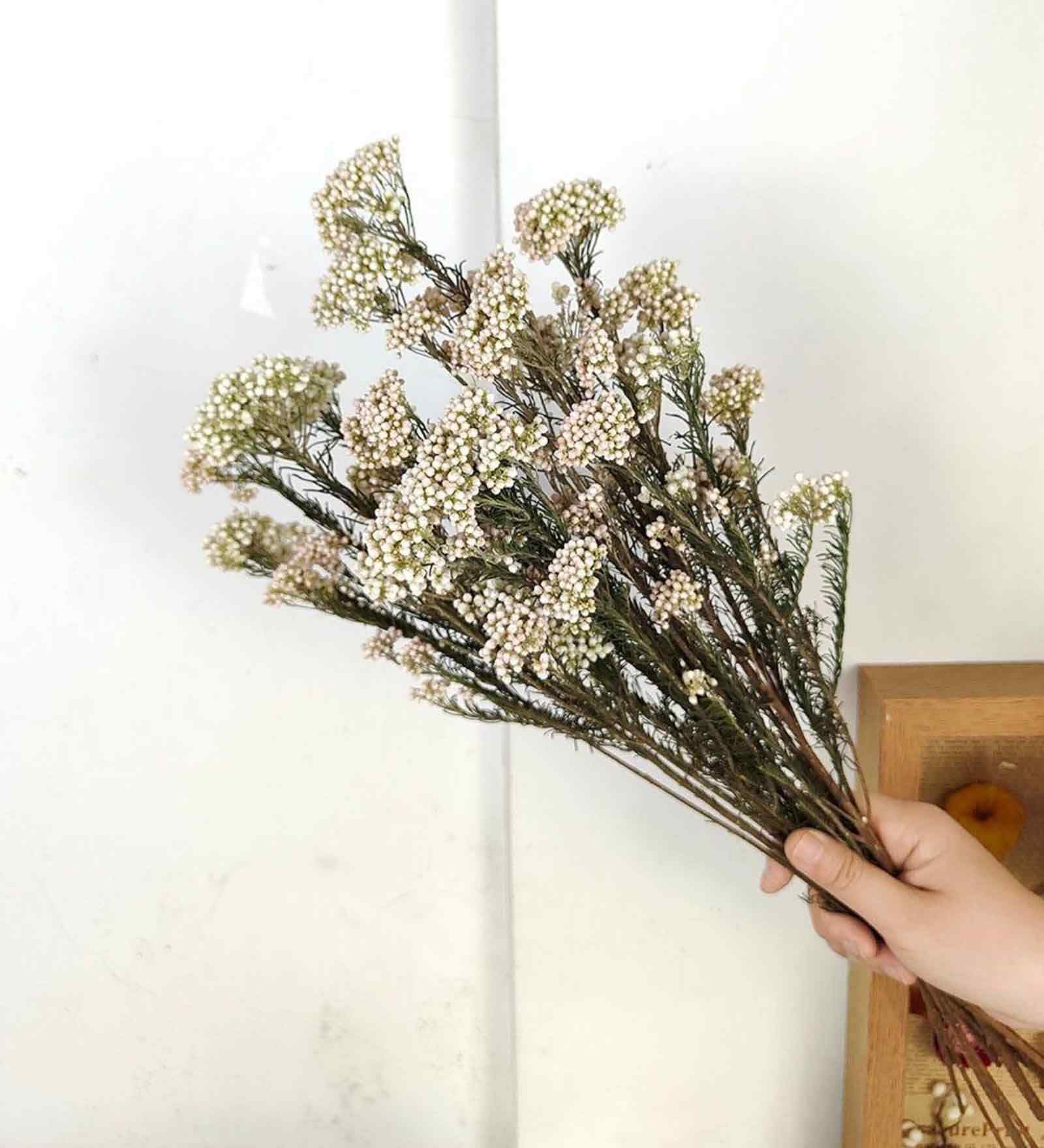 Buy White Rice Flower 3 Stems at 47% OFF by ArteCasa | Pepperfry