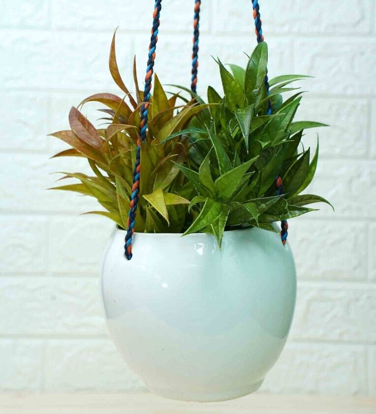 Buy White Ceramic Hanging Planter By Gold Dust Online - Floor Planters ...