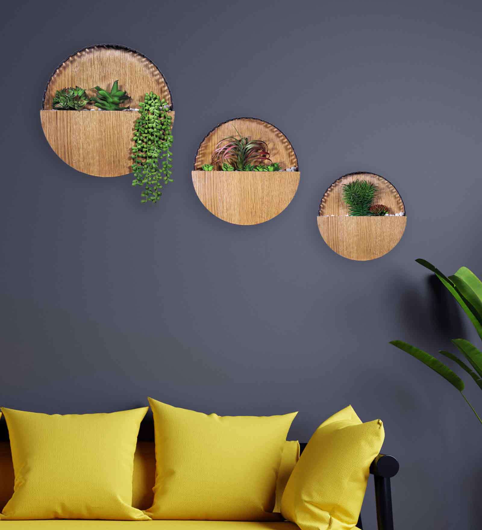 Buy Wooden Set of 3 Wall Planter at 10% OFF by Design it ezy | Pepperfry