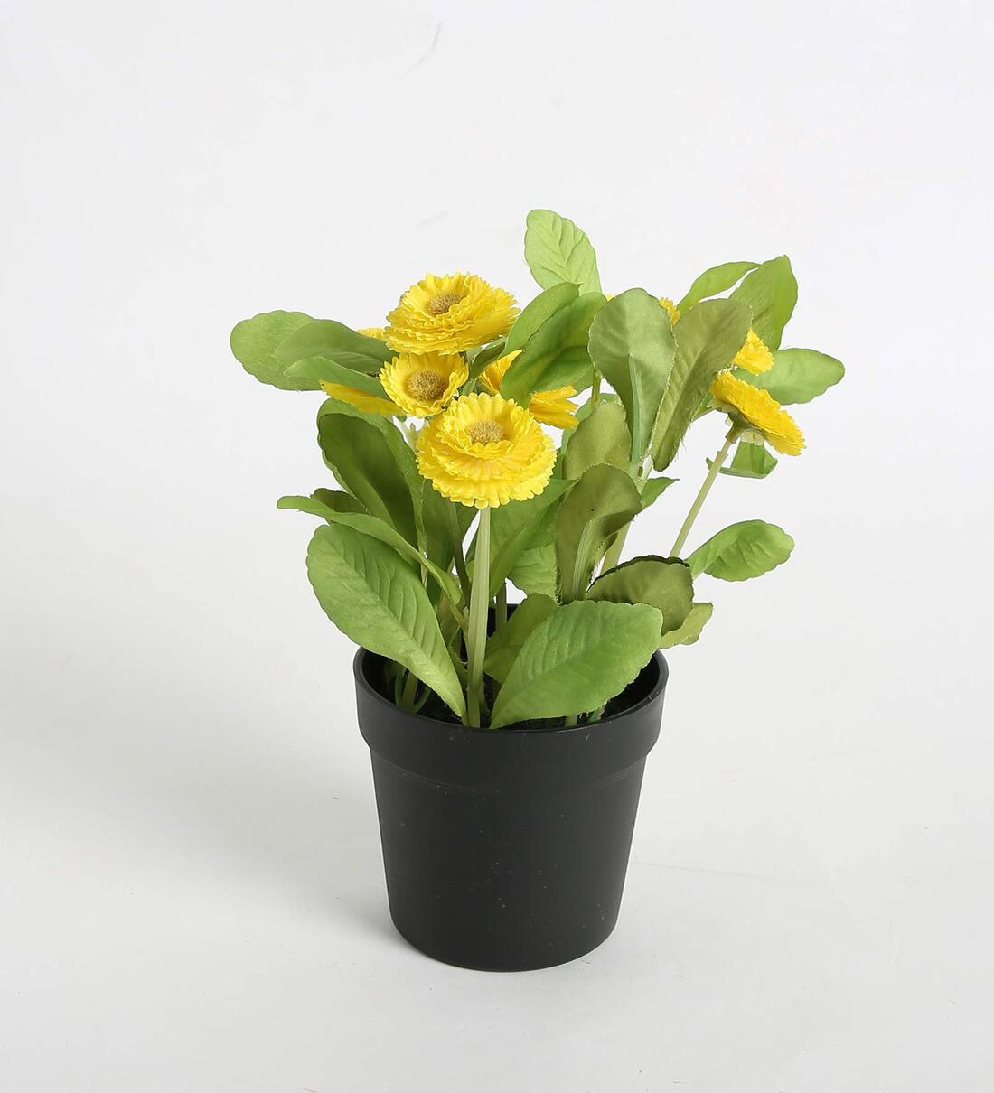 Buy Yellow Plastic Artificial Daisy Flower Plant by Fourwalls Online ...
