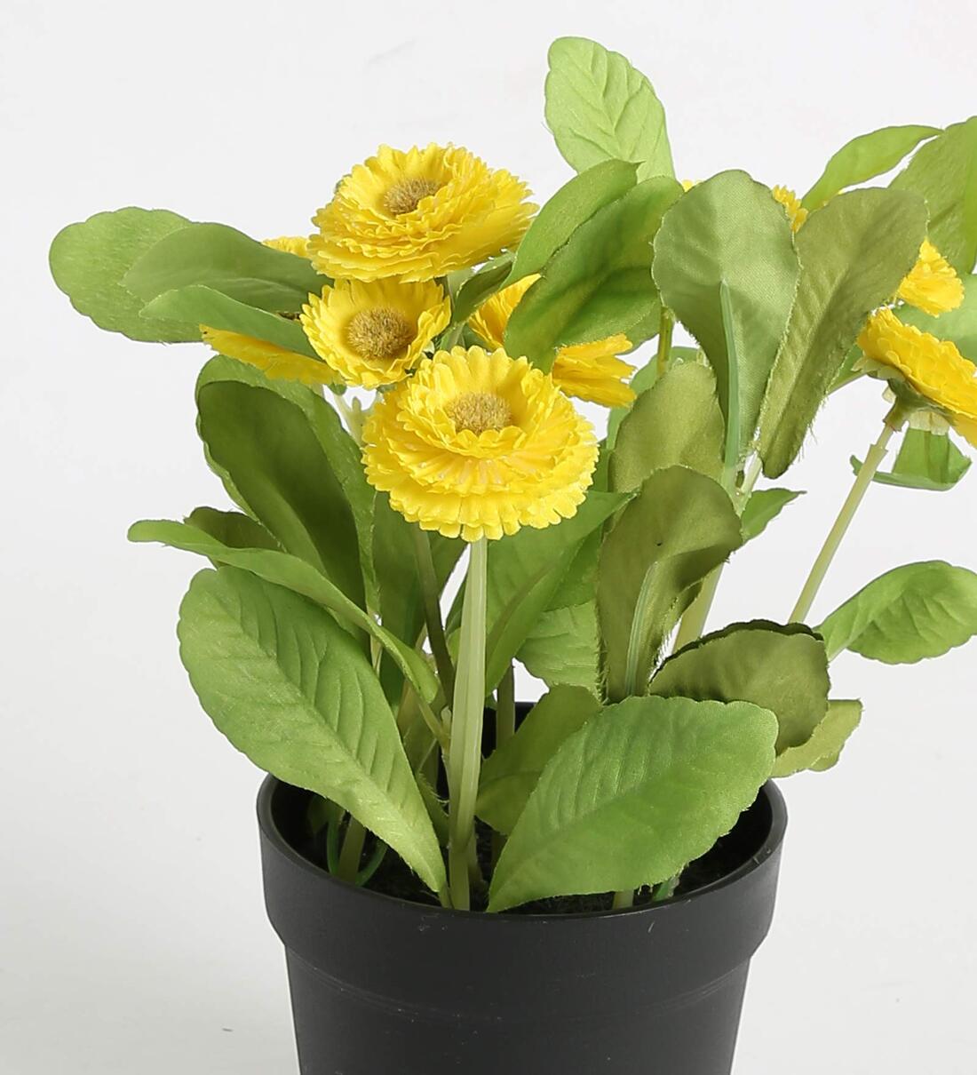 Buy Yellow Plastic Artificial Daisy Flower Plant by Fourwalls Online ...