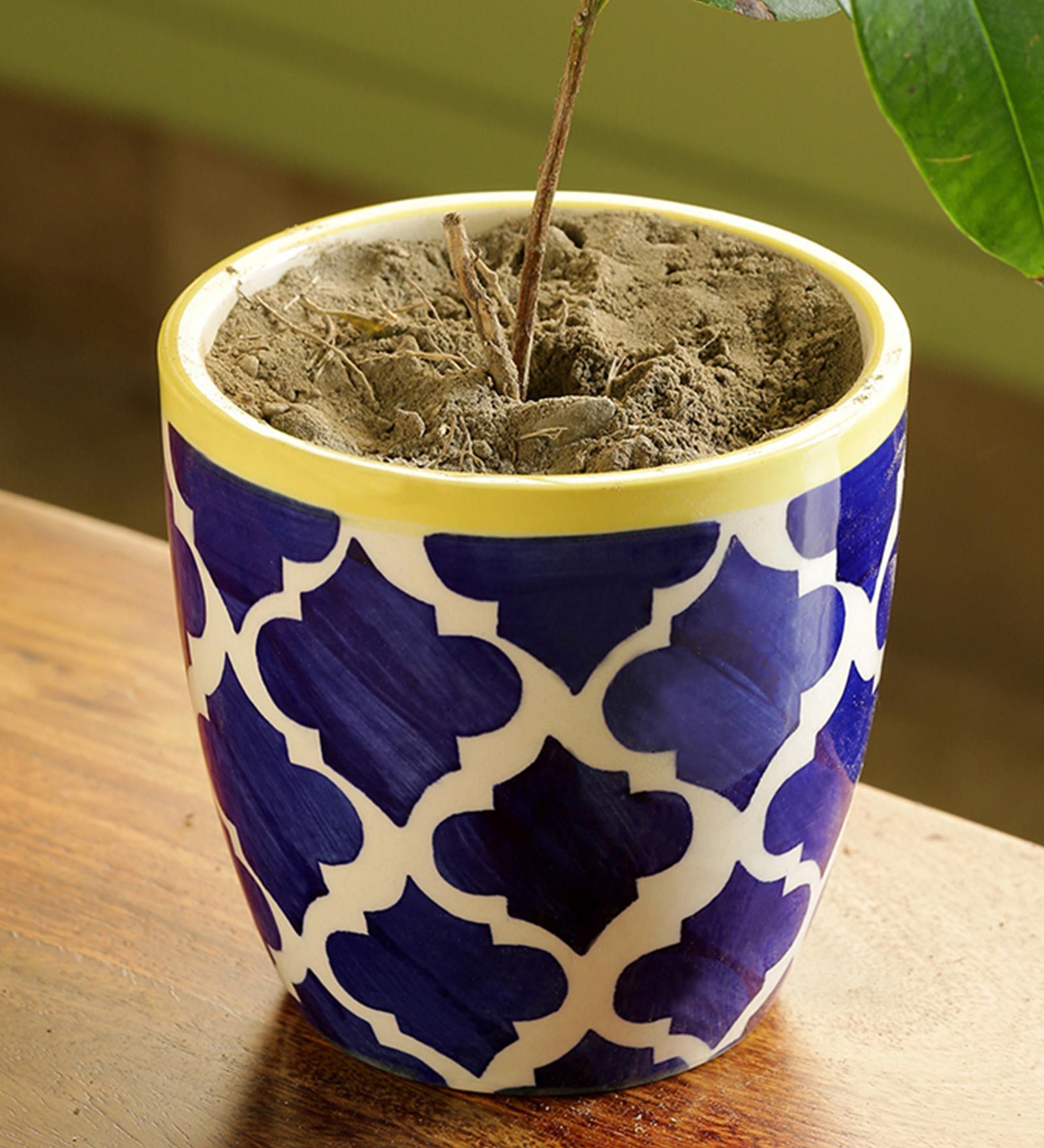 Buy Yellow & Blue Ceramic The Morocco Pod Pot By ExclusiveLane at 37% ...