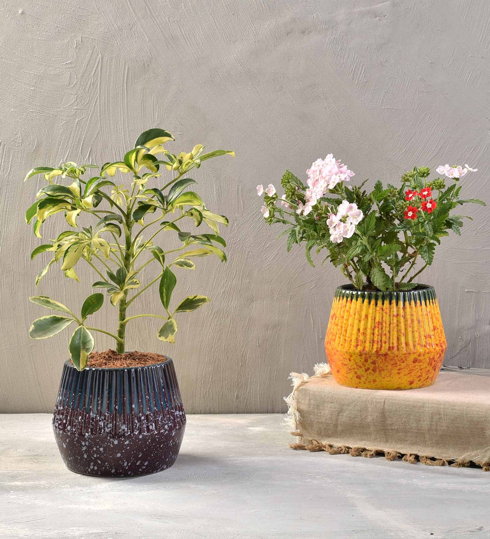 Buy Yellow & Purple Ceramic Ocre/Asher Desk Pot at 25% OFF by The 7th ...