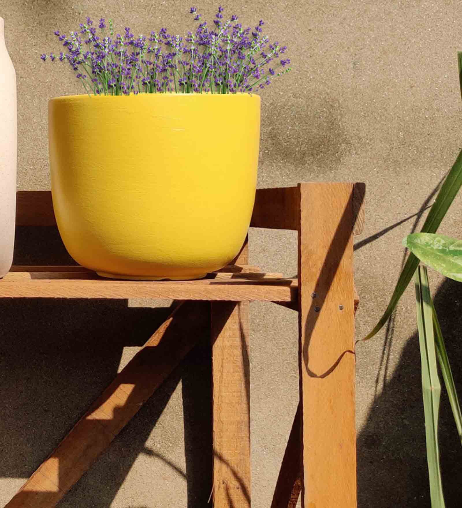 Buy Yellow Ceramic & Pinewood Classy U Planter With Stand at 33% OFF by ...